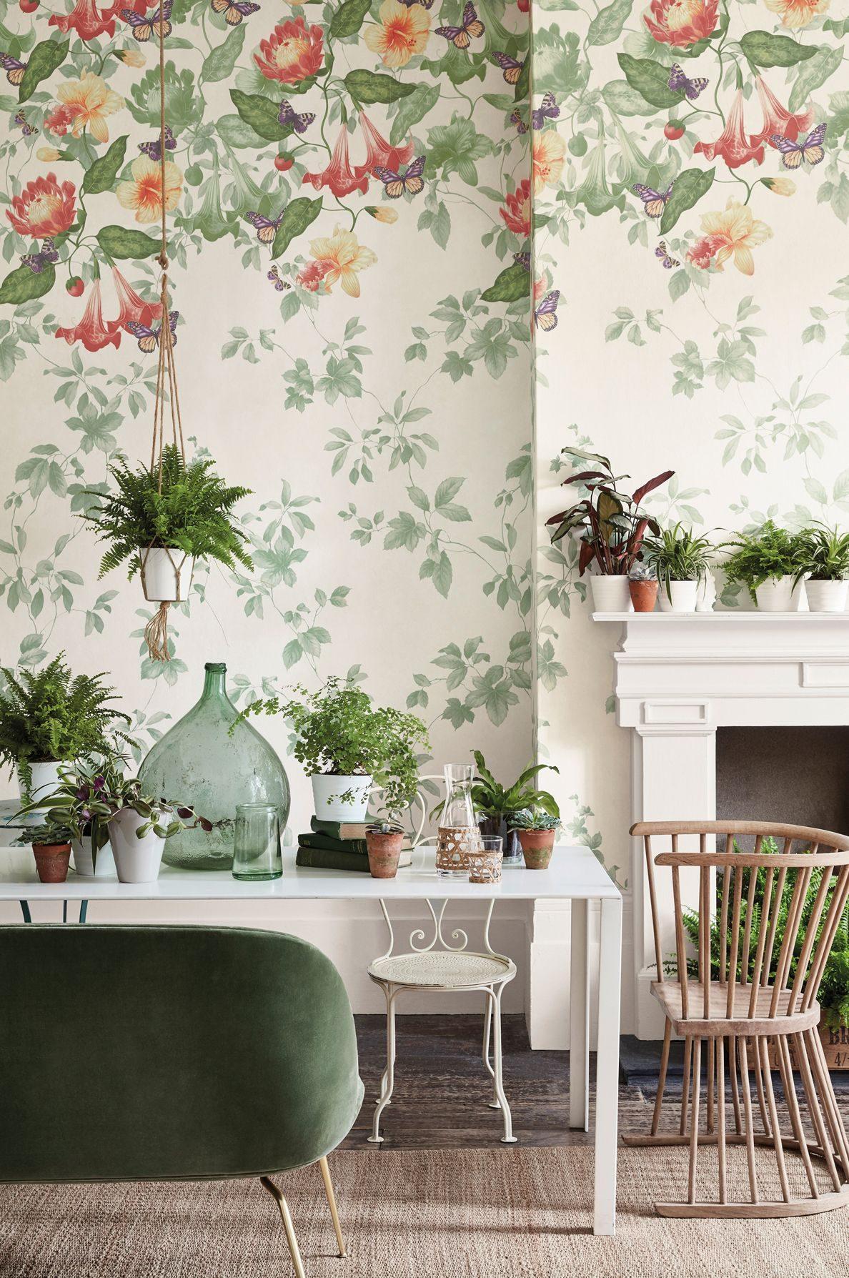 Statement Wallpapers - Top Free Statement Backgrounds - WallpaperAccess