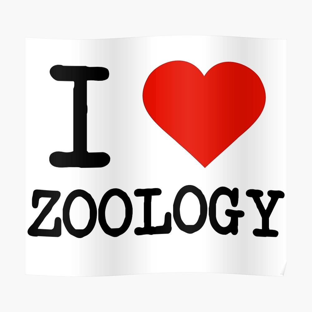 Zoology Wallpapers - Top Free Zoology Backgrounds - WallpaperAccess