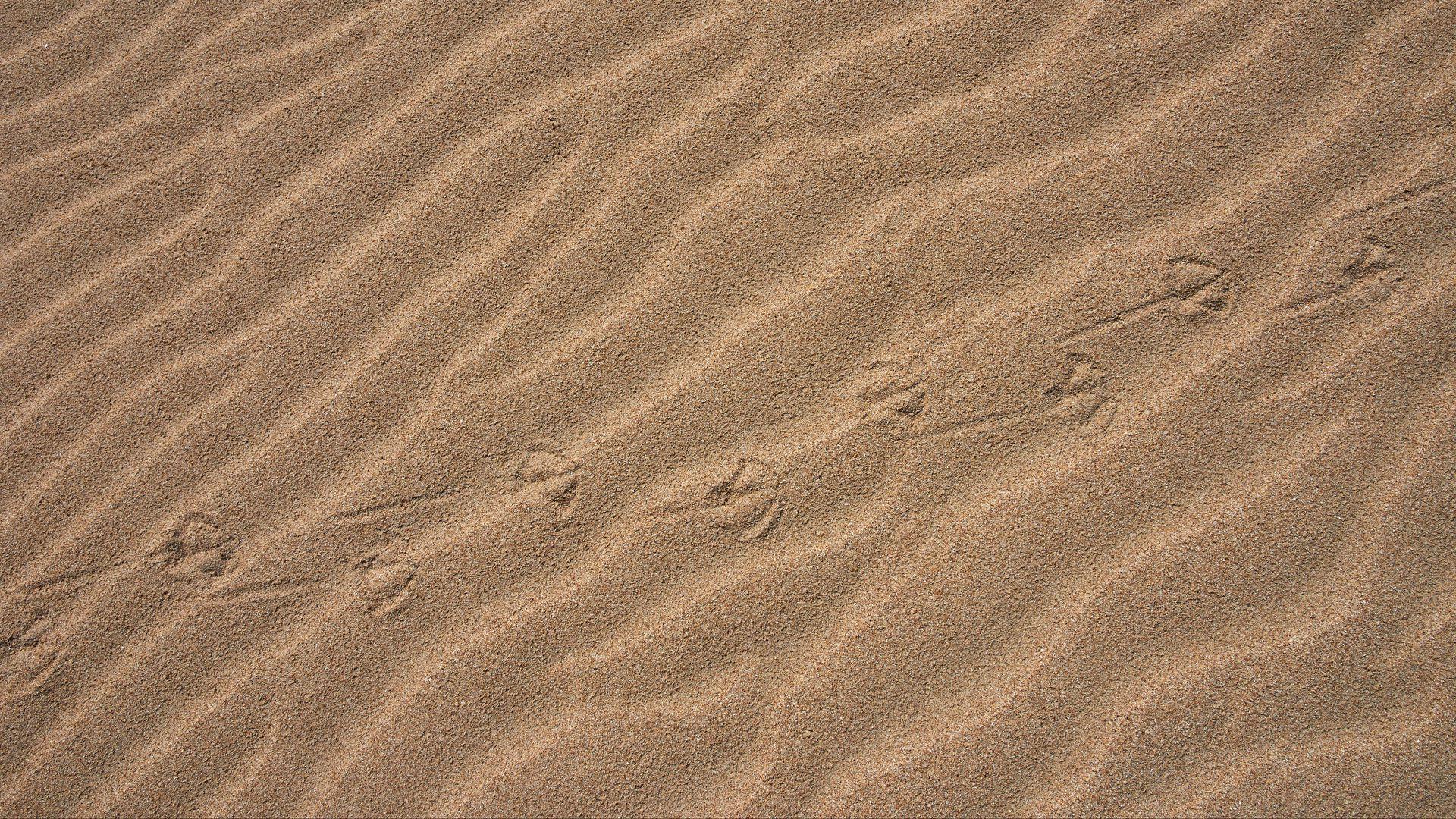 Sandbox Wallpapers - Top Free Sandbox Backgrounds - WallpaperAccess