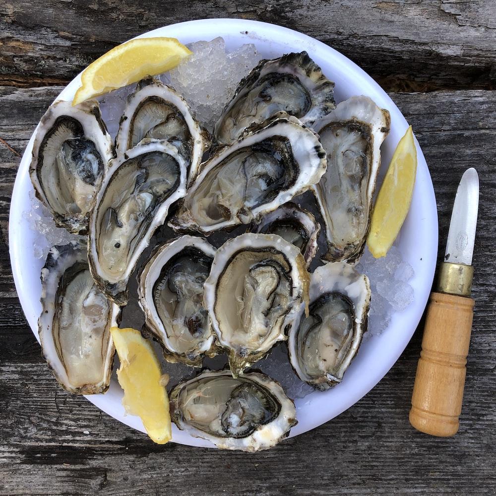 Oysters Wallpapers - Top Free Oysters Backgrounds - WallpaperAccess