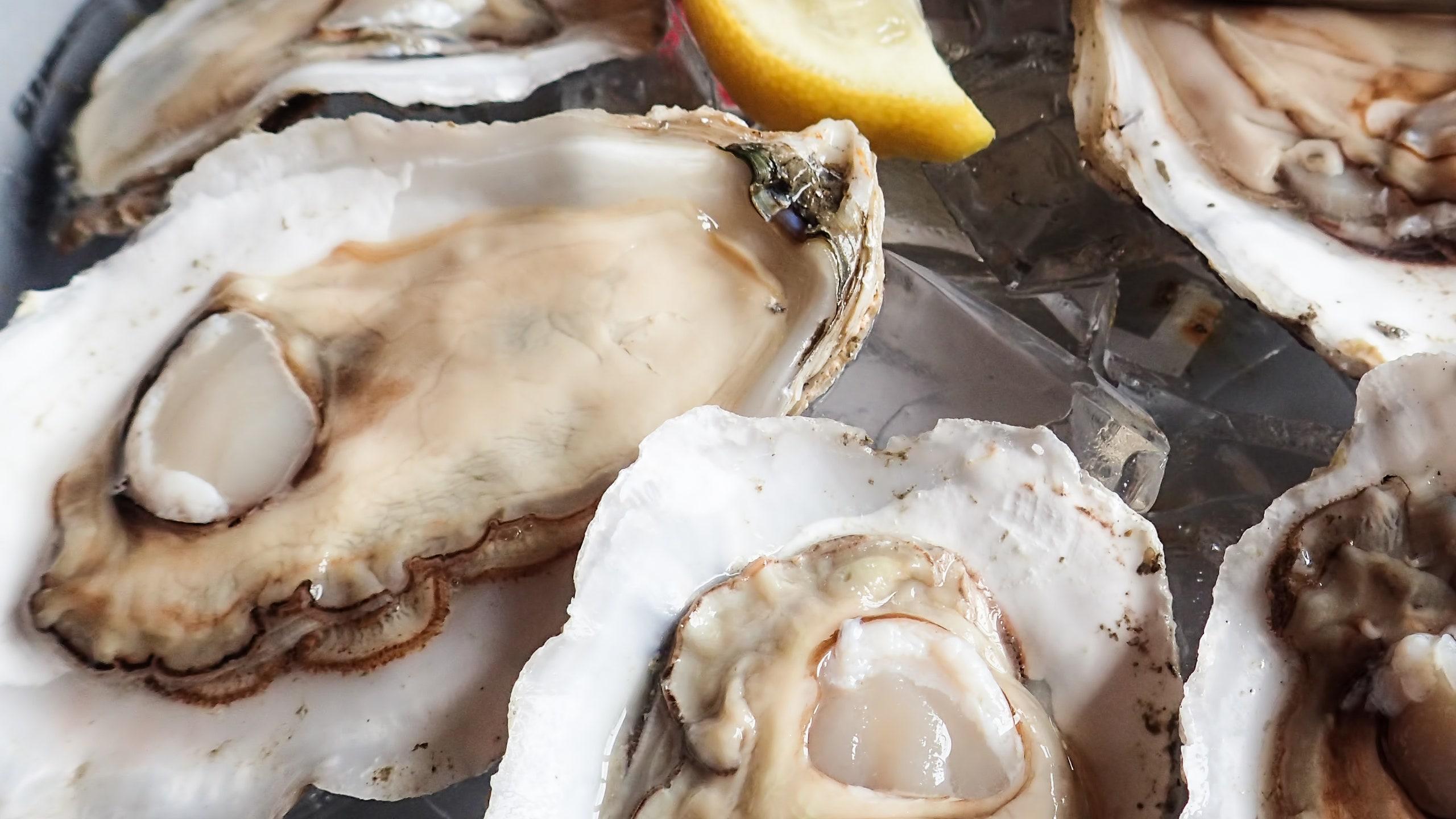 Oysters Wallpapers - Top Free Oysters Backgrounds - WallpaperAccess