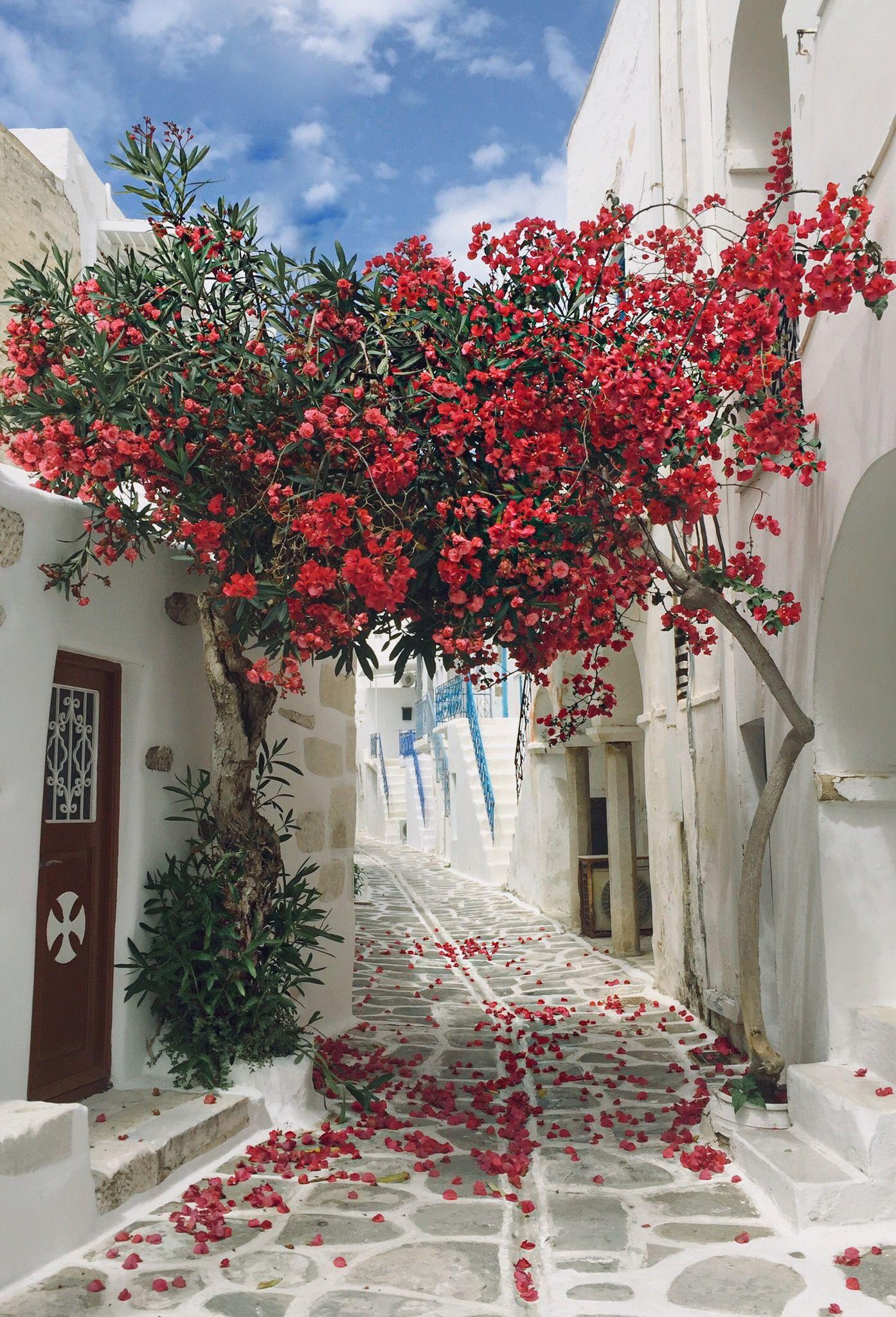 Paros Greece Wallpapers - Top Free Paros Greece Backgrounds ...