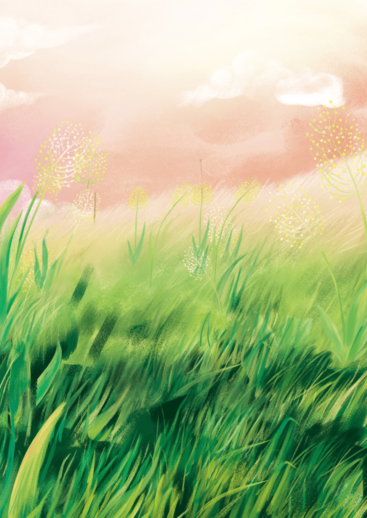 Anime Grass Wallpapers - Top Free Anime Grass Backgrounds - WallpaperAccess