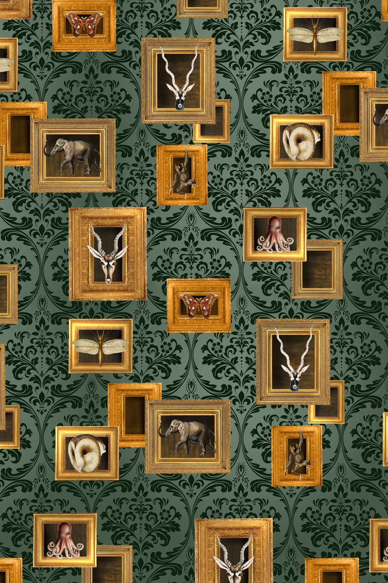 Hall of Fame Wallpapers - Top Free Hall of Fame Backgrounds ...