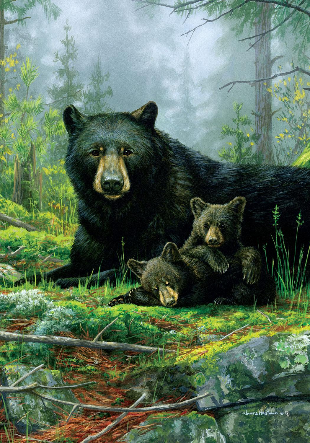 Three Bears Wallpapers - Top Free Three Bears Backgrounds - WallpaperAccess