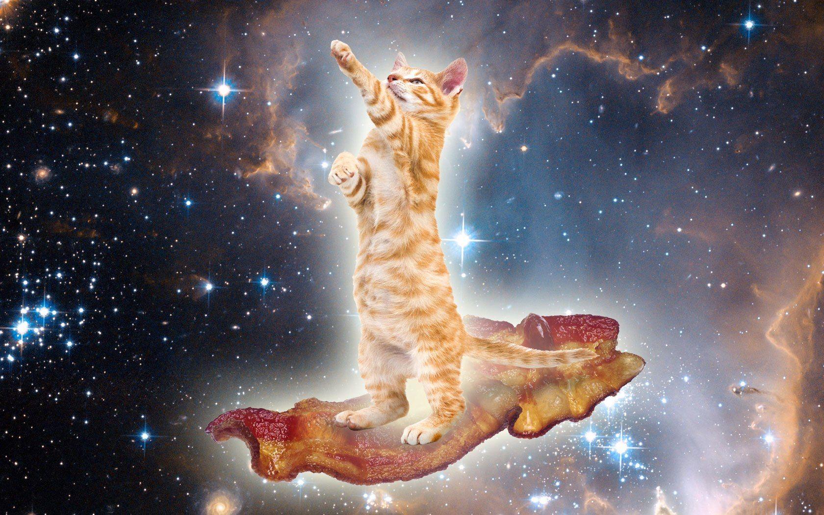 Space Cat Wallpapers - Top Free Space Cat Backgrounds - WallpaperAccess