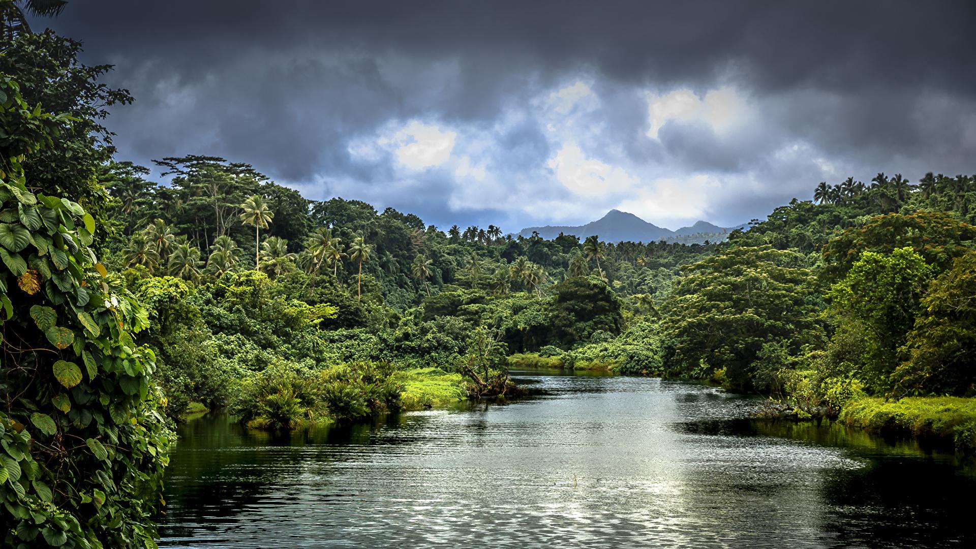 Kalimantan Wallpapers - Top Free Kalimantan Backgrounds - WallpaperAccess
