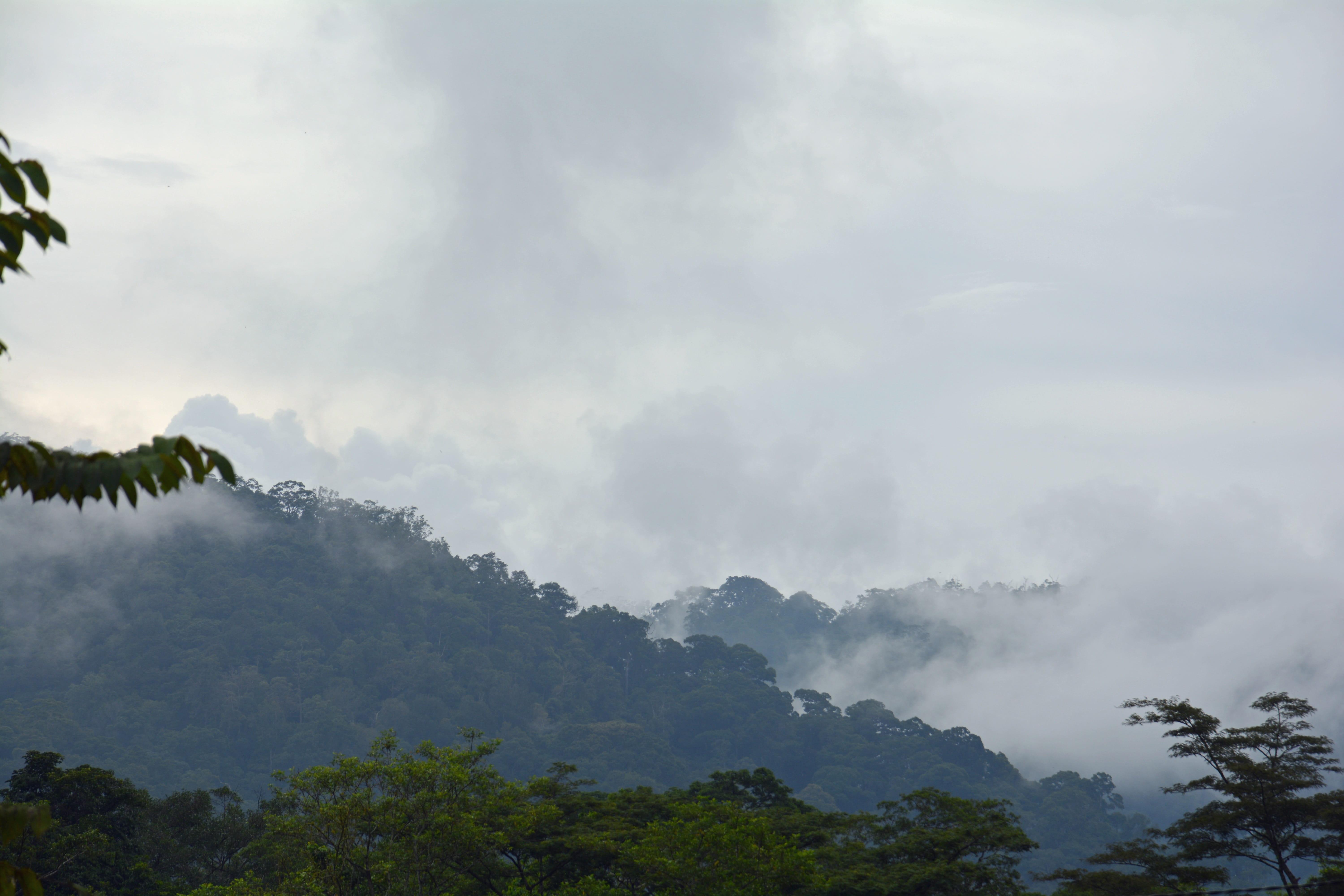 Kalimantan Wallpapers - Top Free Kalimantan Backgrounds - WallpaperAccess