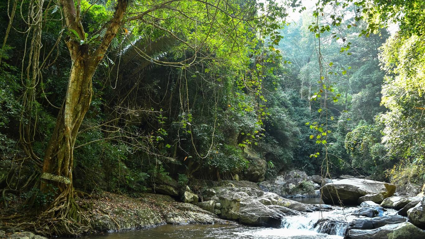 Kalimantan Wallpapers - Top Free Kalimantan Backgrounds - WallpaperAccess