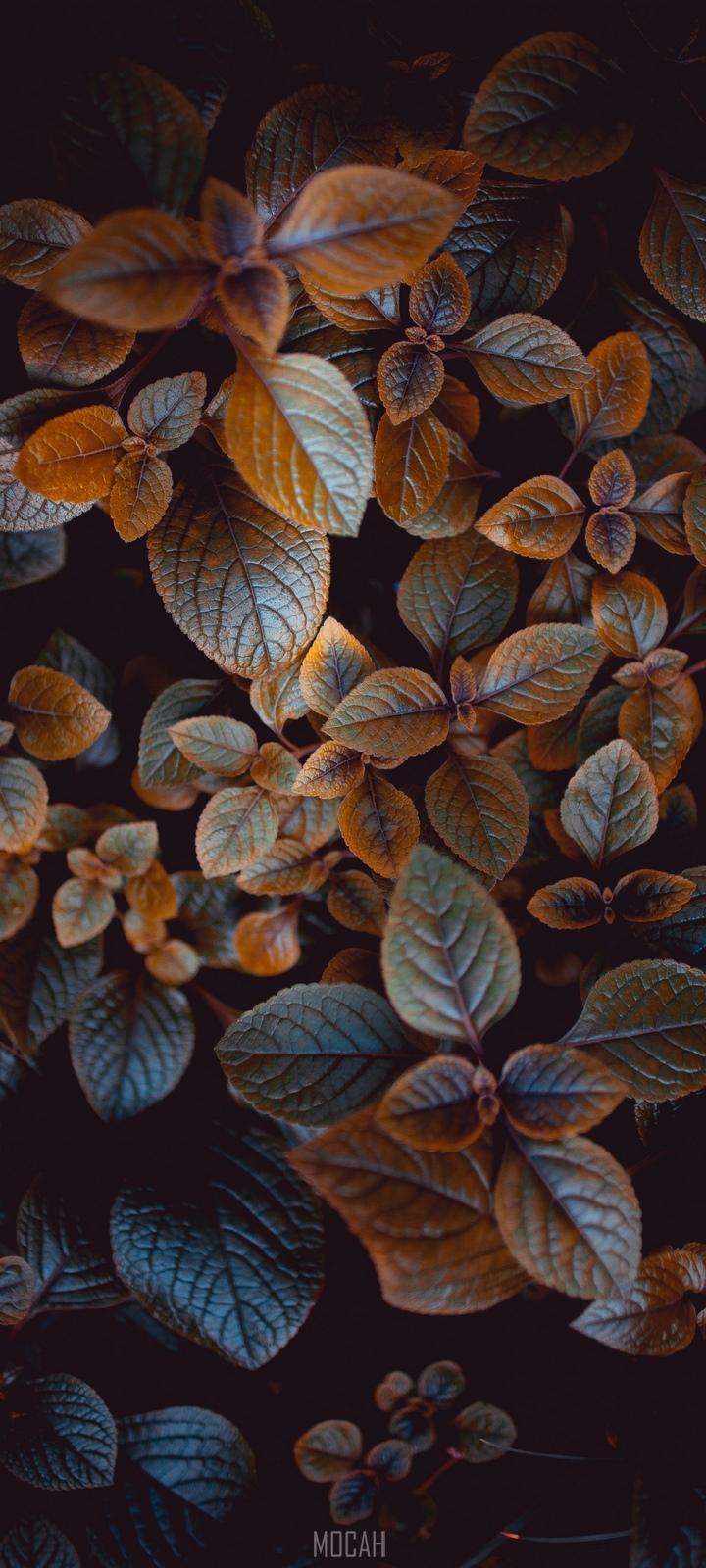 Xiaomi Redmi 9A Wallpapers - Top Free Xiaomi Redmi 9A Backgrounds ...