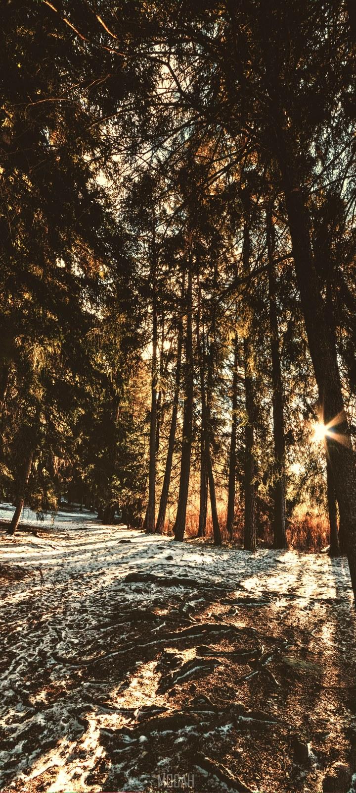 Xiaomi Redmi 9A Wallpapers - Top Free Xiaomi Redmi 9A Backgrounds ...