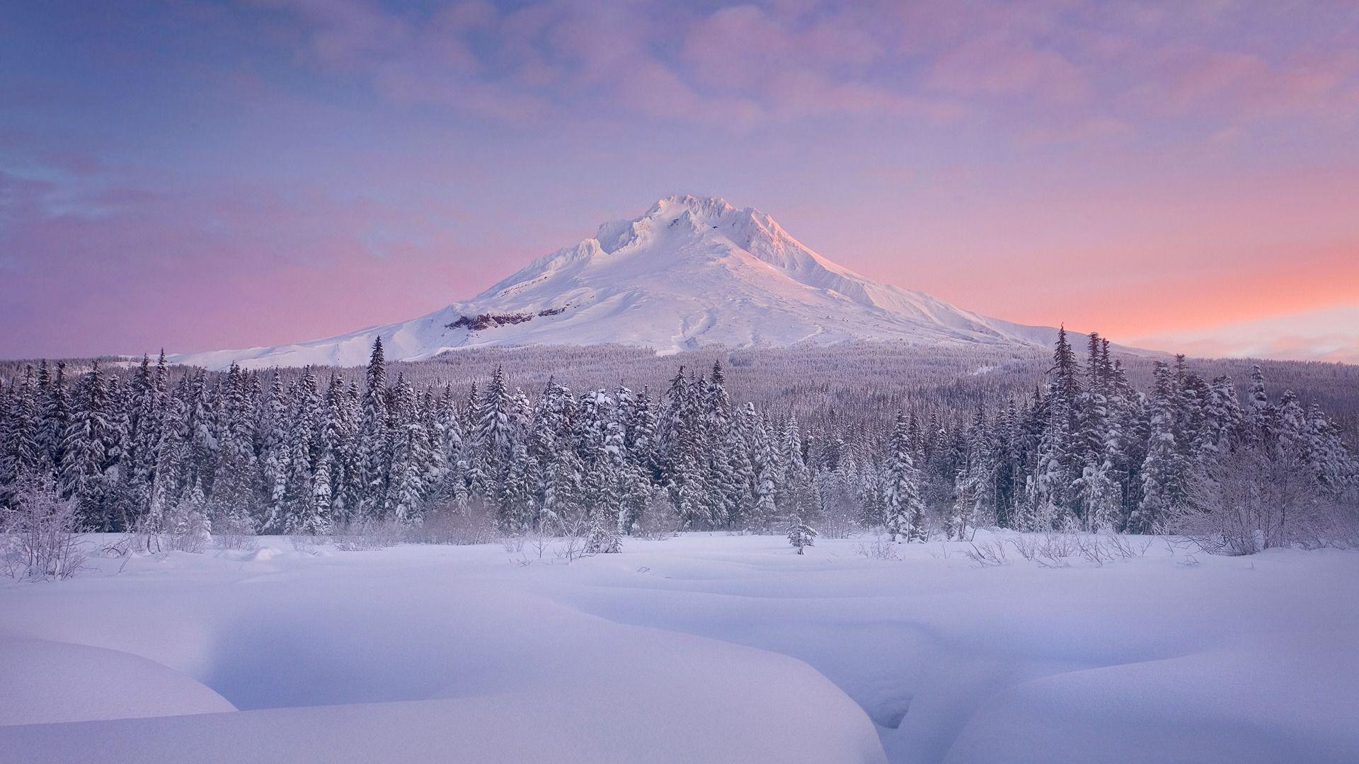 Mount Hood Wallpapers - Top Free Mount Hood Backgrounds - WallpaperAccess