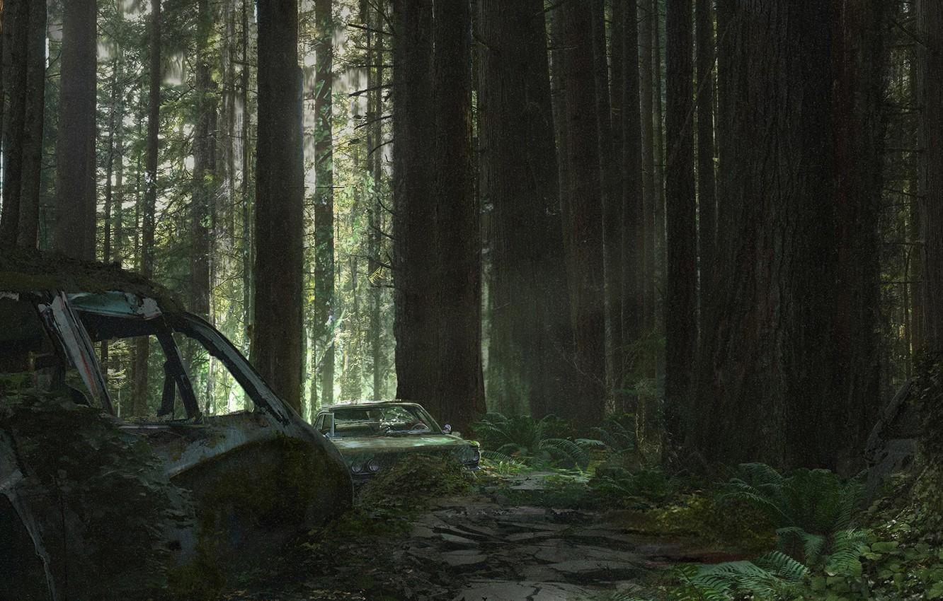 Overgrown Wallpapers - Top Free Overgrown Backgrounds - WallpaperAccess