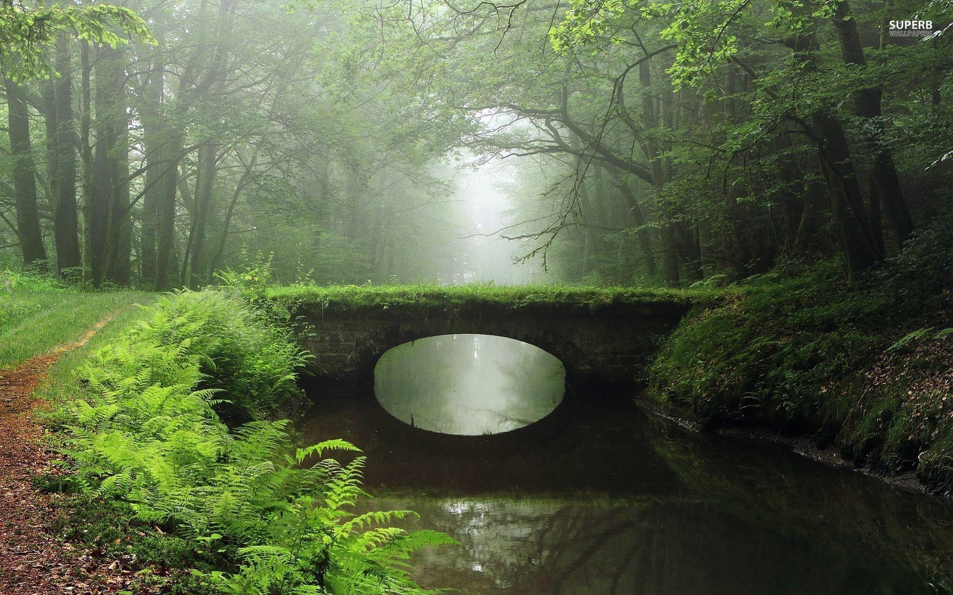 Overgrown Wallpapers - Top Free Overgrown Backgrounds - WallpaperAccess