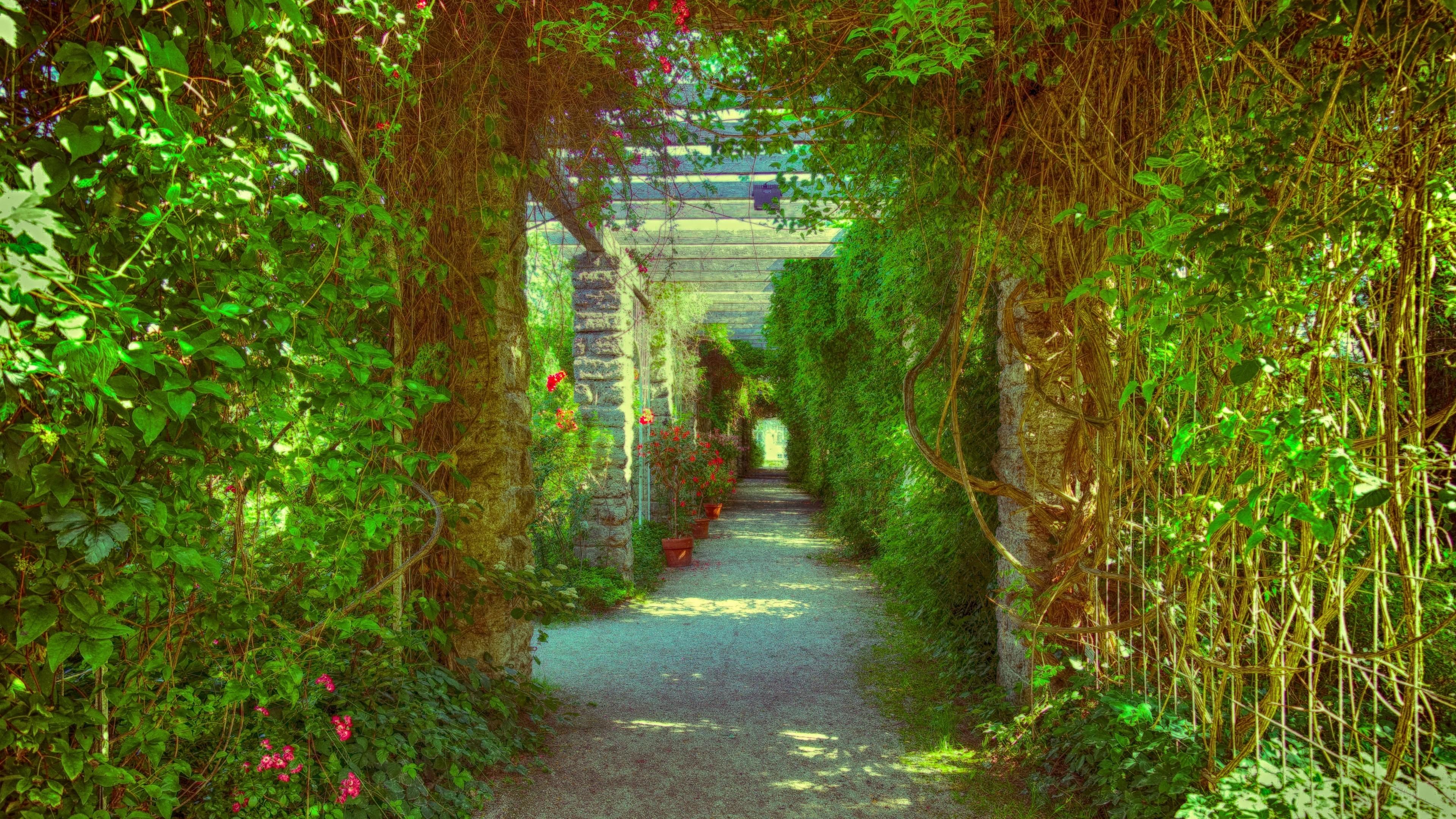 Overgrown Wallpapers - Top Free Overgrown Backgrounds - WallpaperAccess