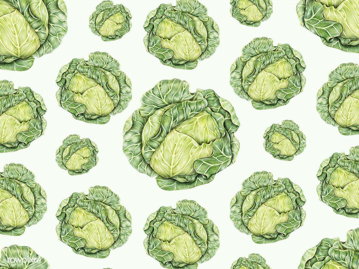 Cabbage Wallpapers - Top Free Cabbage Backgrounds - WallpaperAccess