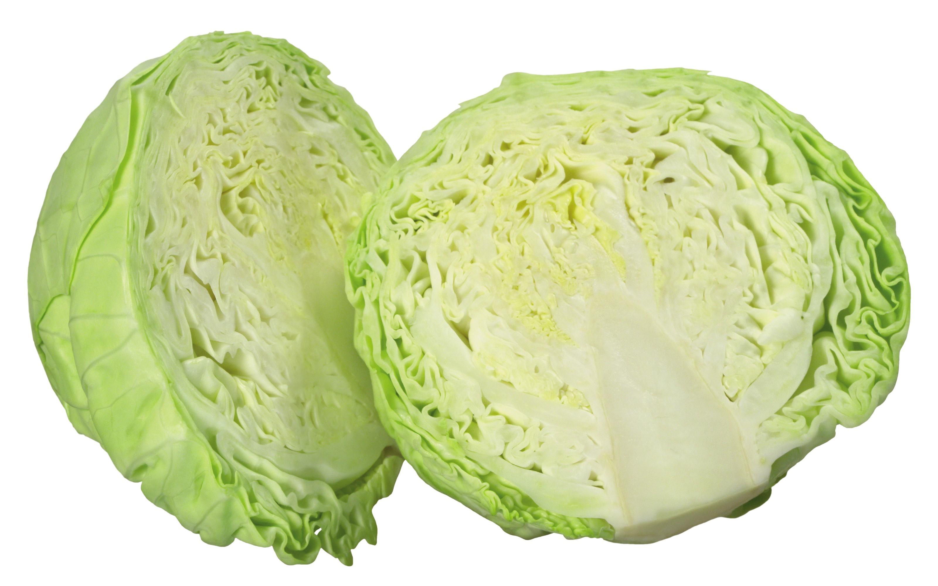 Cabbage Wallpapers - Top Free Cabbage Backgrounds - WallpaperAccess