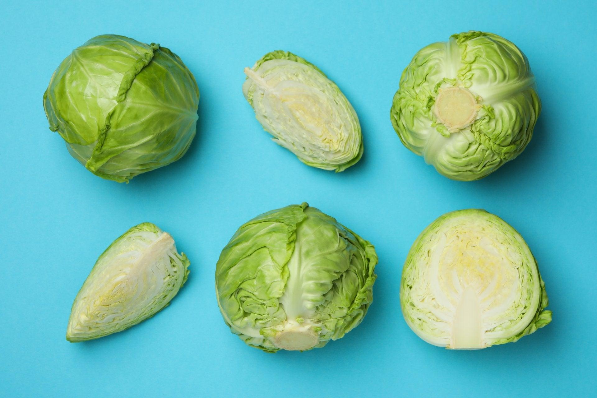 Cabbage Wallpapers - Top Free Cabbage Backgrounds - WallpaperAccess