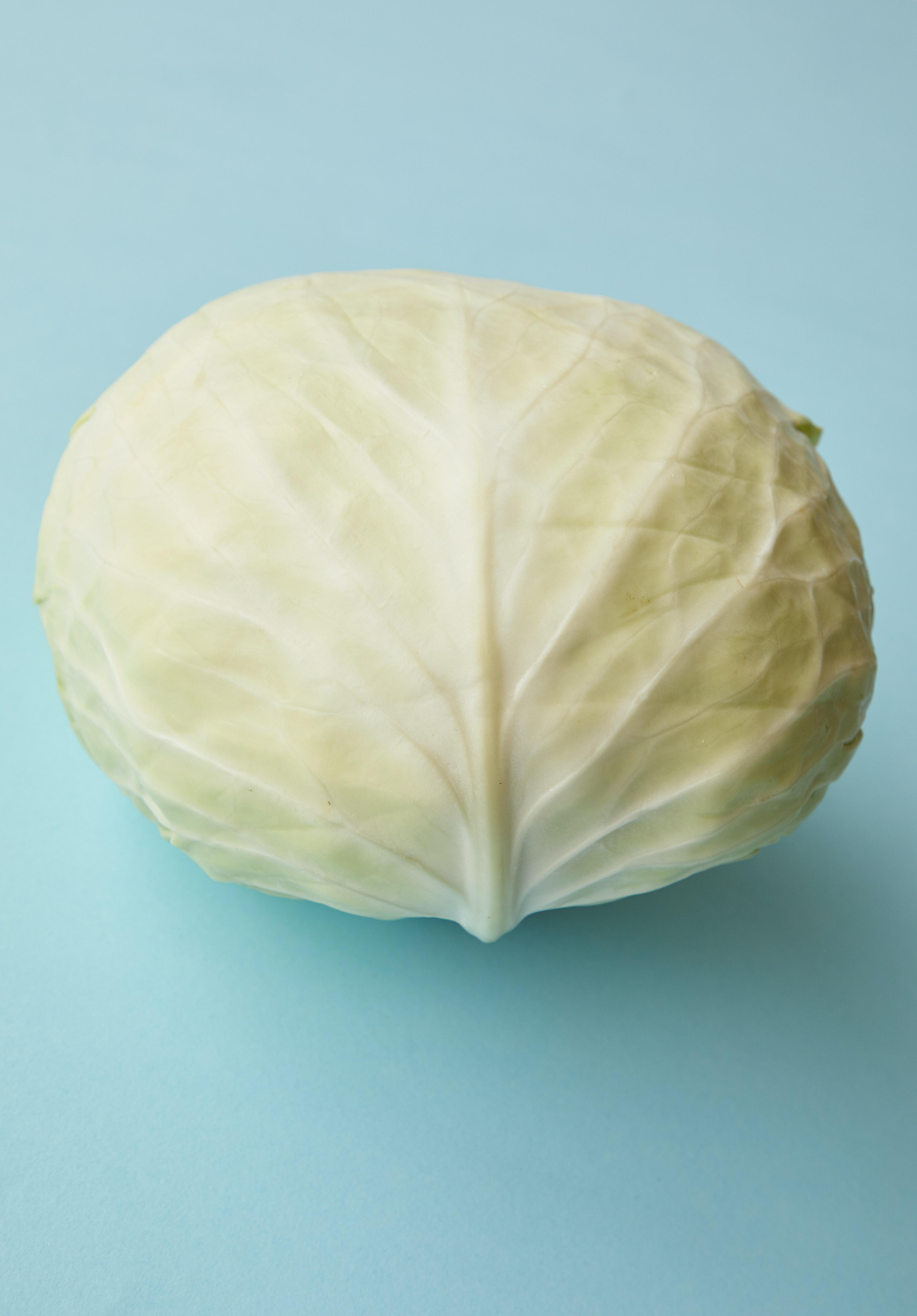Cabbage Wallpapers - Top Free Cabbage Backgrounds - WallpaperAccess