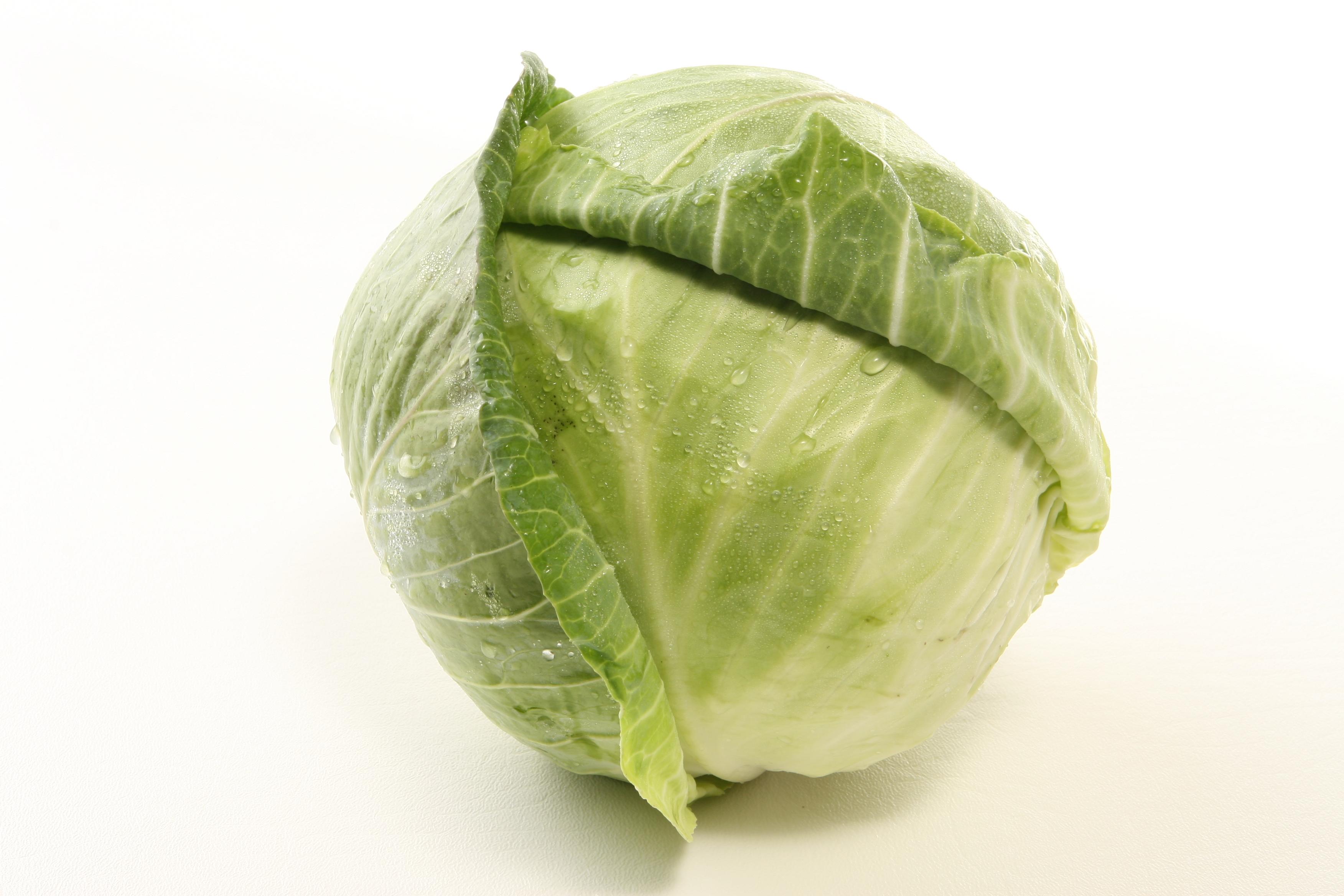 Cabbage Wallpapers - Top Free Cabbage Backgrounds - WallpaperAccess