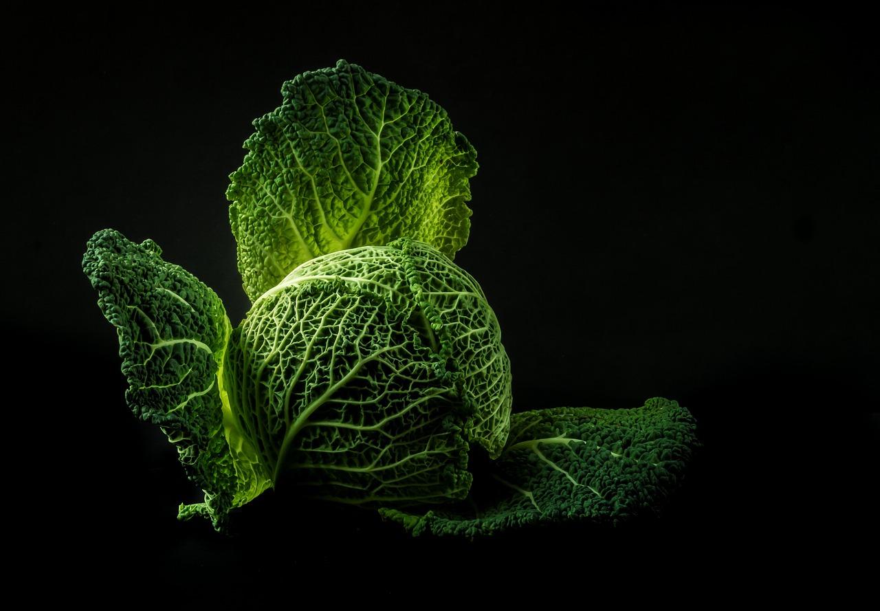 Cabbage Wallpapers - Top Free Cabbage Backgrounds - WallpaperAccess