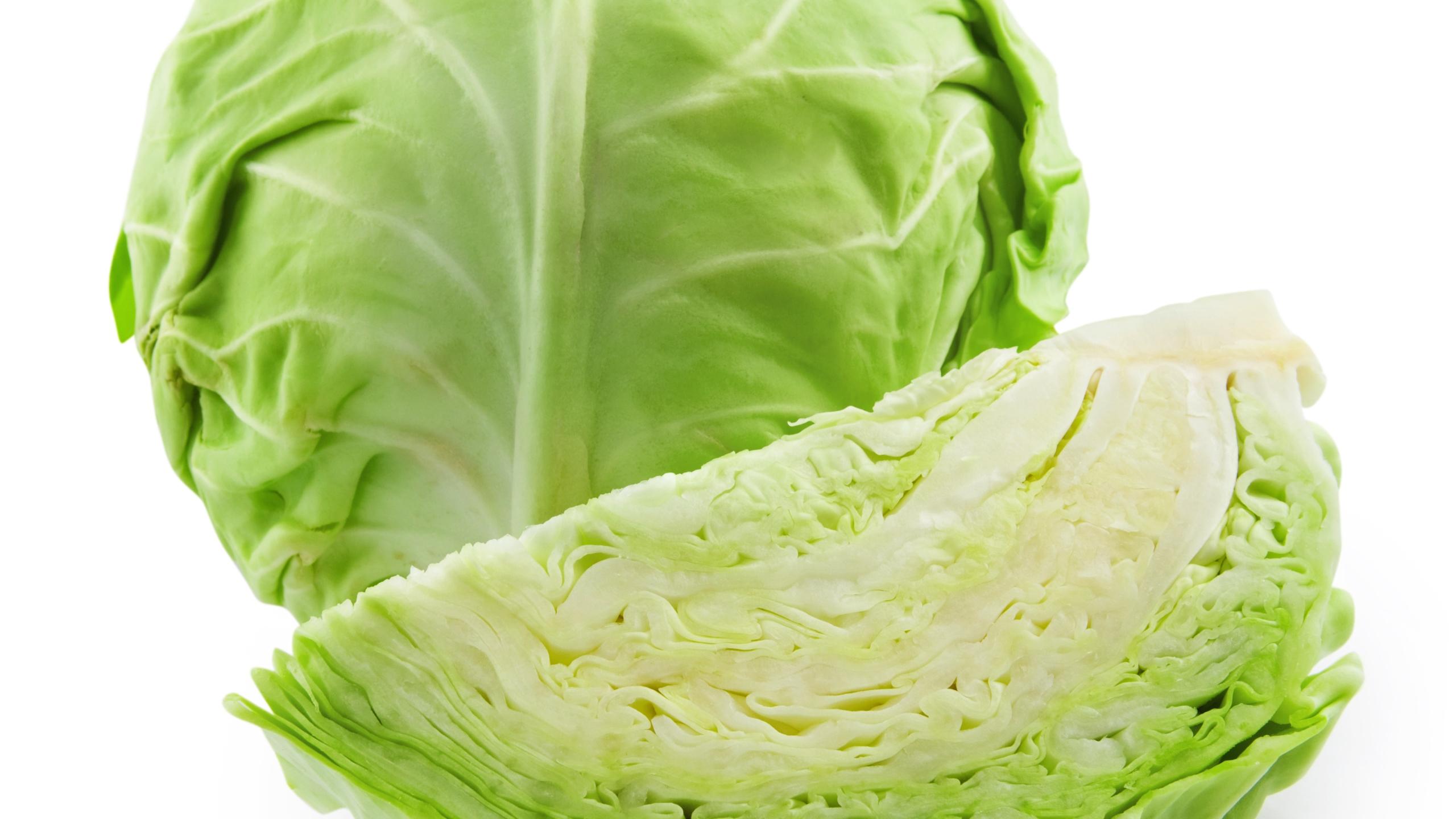 Cabbage Wallpapers - Top Free Cabbage Backgrounds - WallpaperAccess