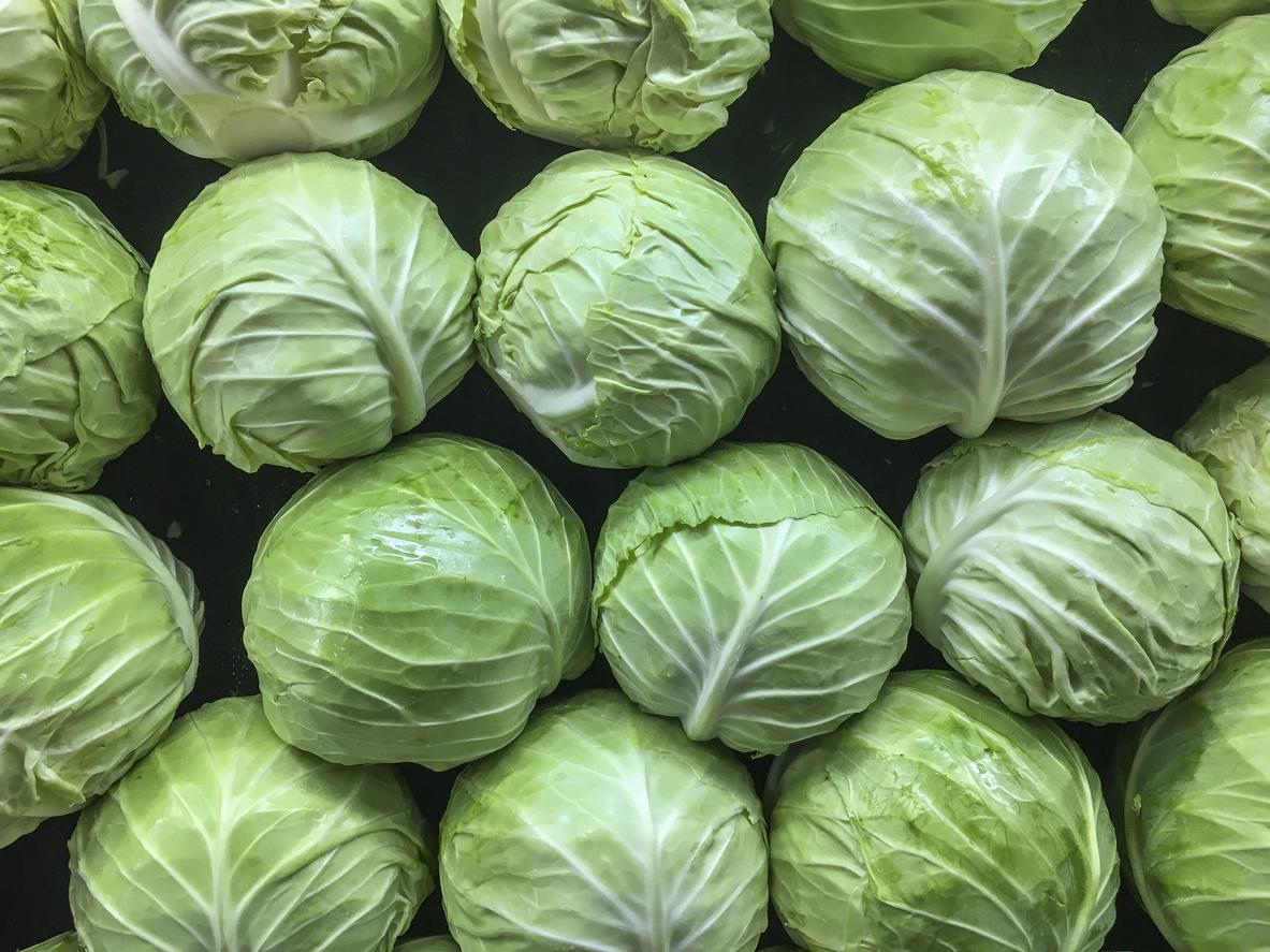 Cabbage Wallpapers - Top Free Cabbage Backgrounds - WallpaperAccess