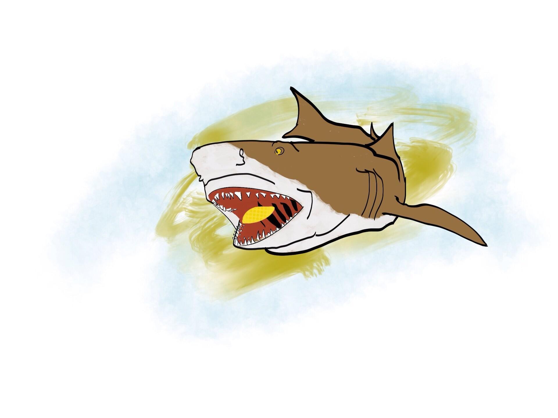 Lemon Shark Wallpapers - Top Free Lemon Shark Backgrounds - WallpaperAccess