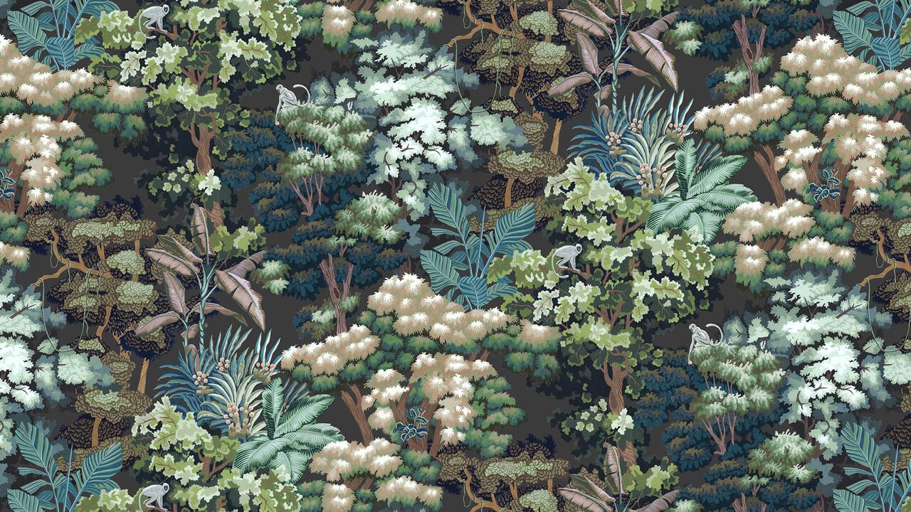 Canopy Wallpapers - Top Free Canopy Backgrounds - WallpaperAccess