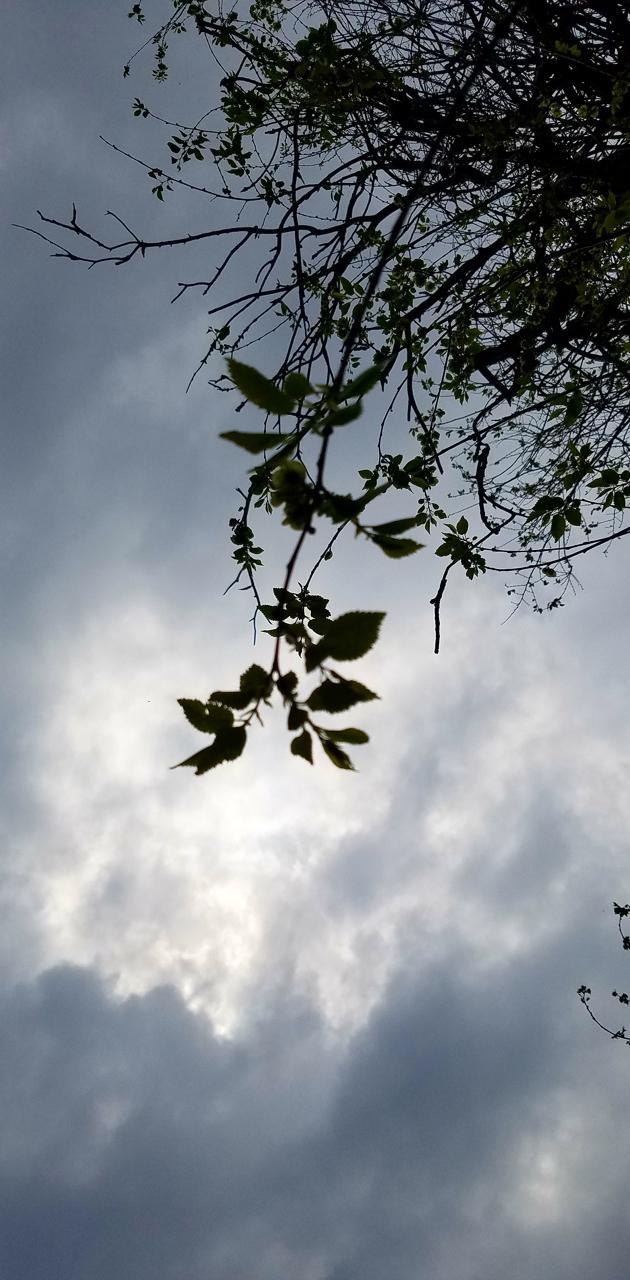 Cloudy Day Wallpapers - Top Free Cloudy Day Backgrounds - WallpaperAccess