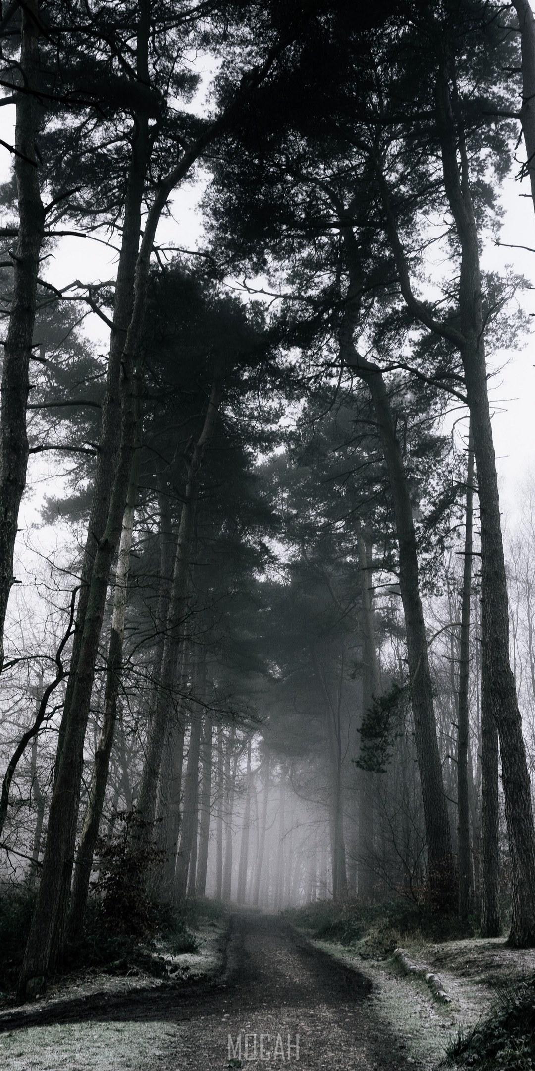 Cloudy Day Wallpapers - Top Free Cloudy Day Backgrounds - WallpaperAccess