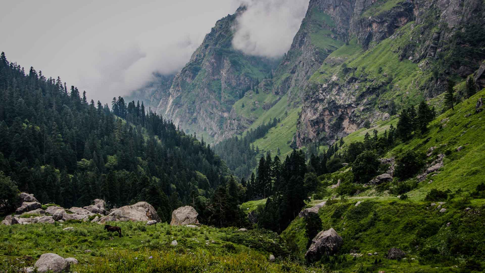 Kasol Wallpapers - Top Free Kasol Backgrounds - WallpaperAccess