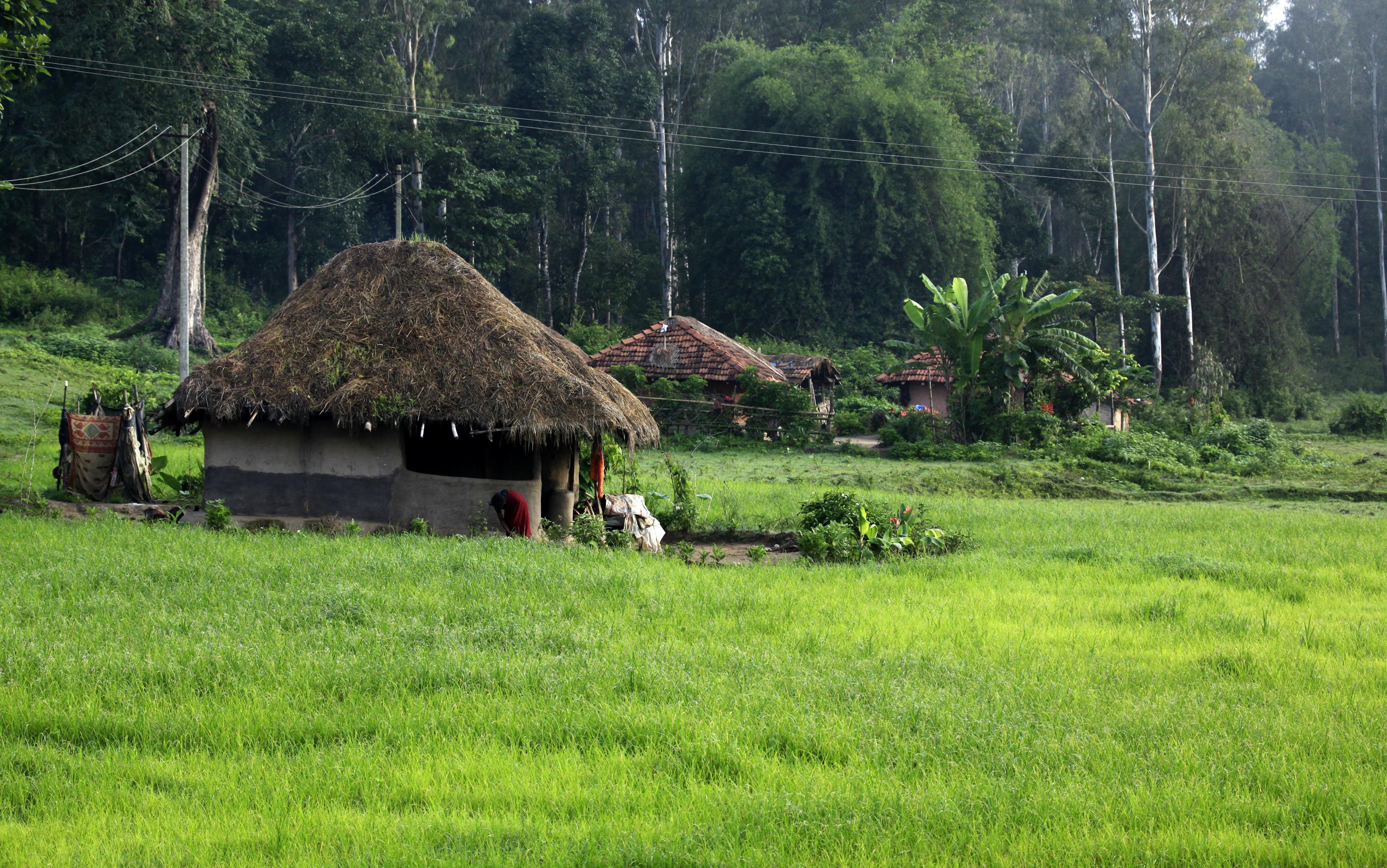 Wayanad Wallpapers - Top Free Wayanad Backgrounds - WallpaperAccess