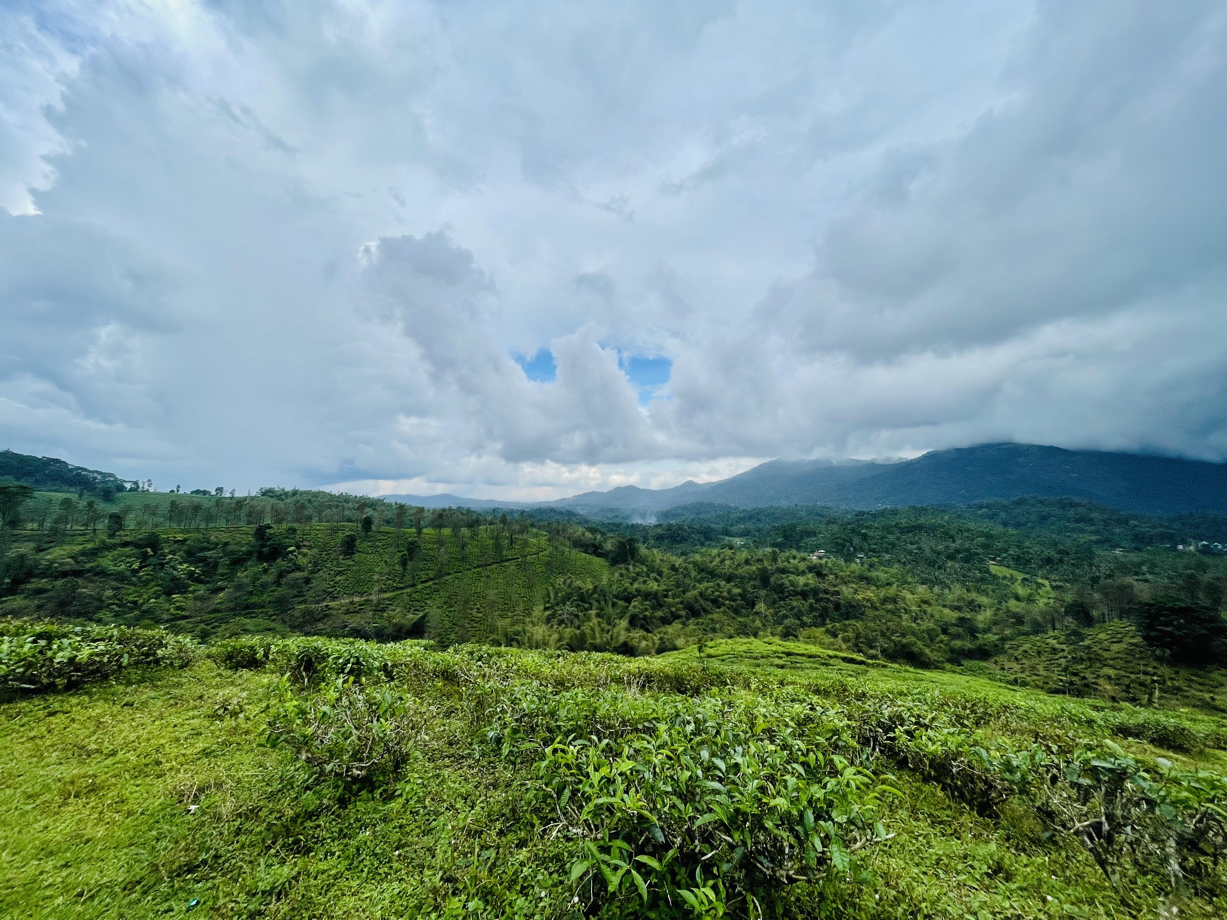 Wayanad Wallpapers - Top Free Wayanad Backgrounds - WallpaperAccess