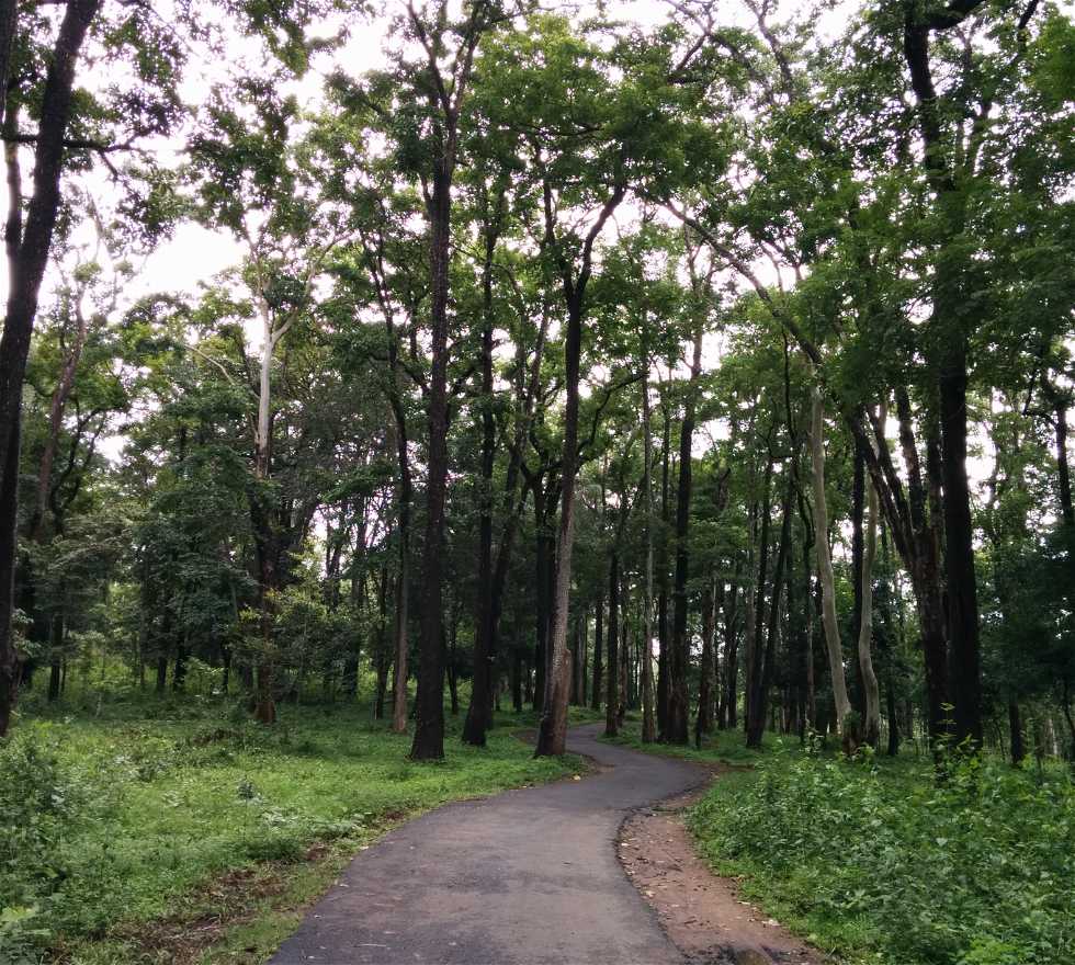 Wayanad Wallpapers - Top Free Wayanad Backgrounds - WallpaperAccess