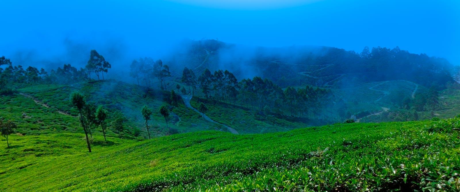 Wayanad Wallpapers - Top Free Wayanad Backgrounds - WallpaperAccess