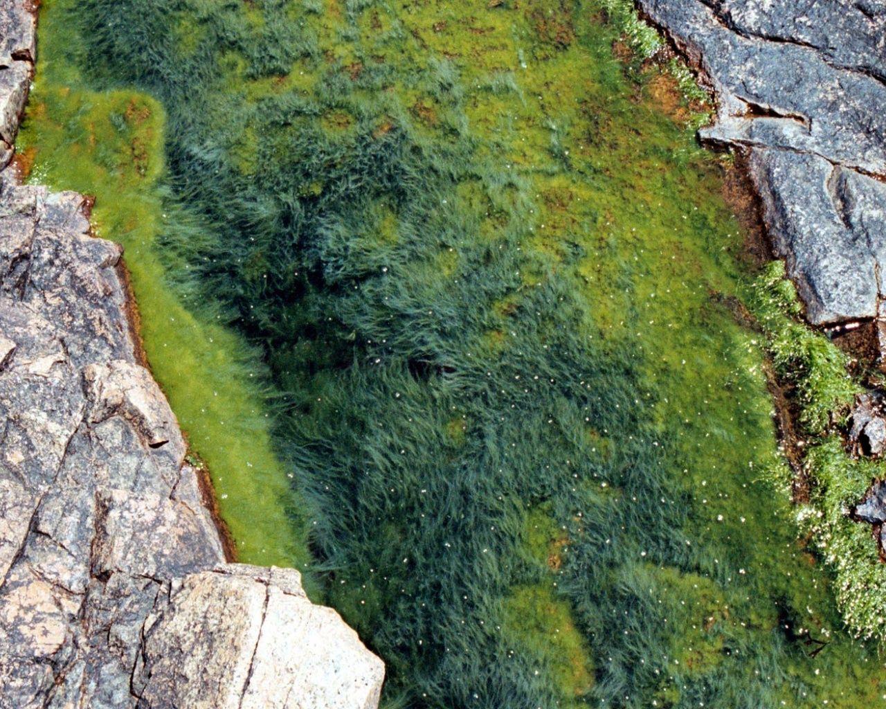 Granite Desktop Wallpapers - Top Free Granite Desktop Backgrounds ...