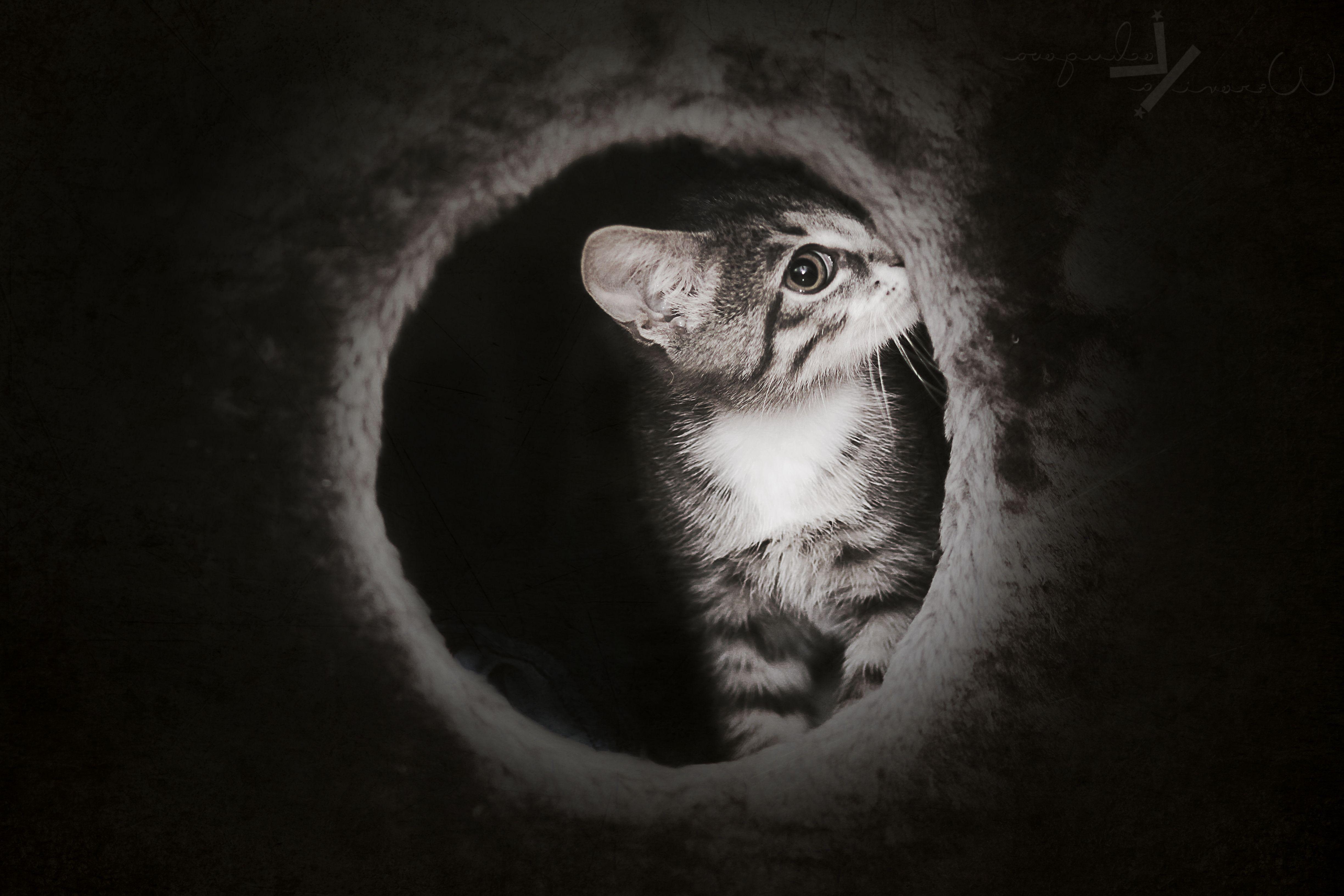 Cute Profile Wallpapers - Top Free Cute Profile Backgrounds ...