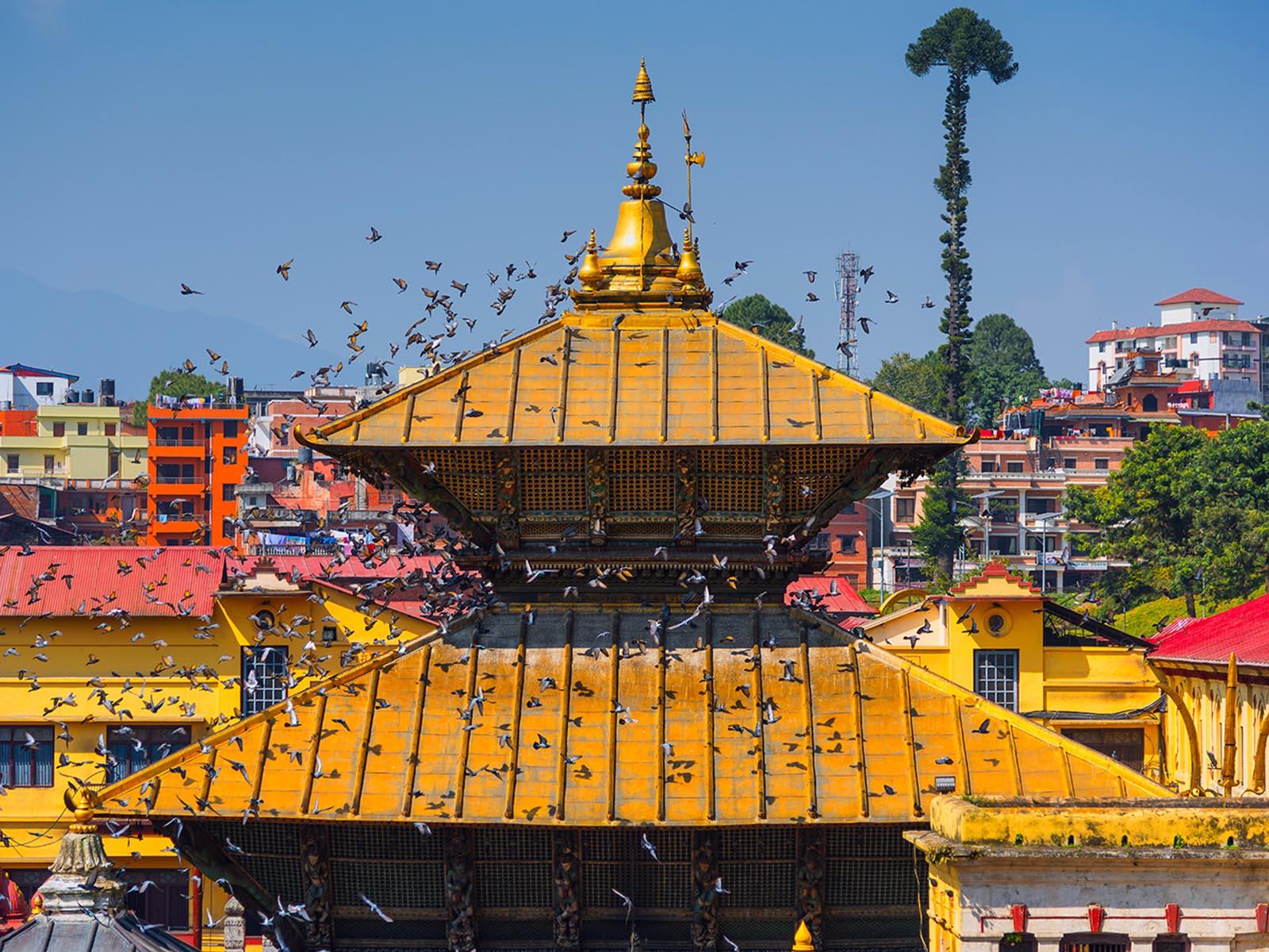 Pashupatinath Wallpapers - Top Free Pashupatinath Backgrounds ...