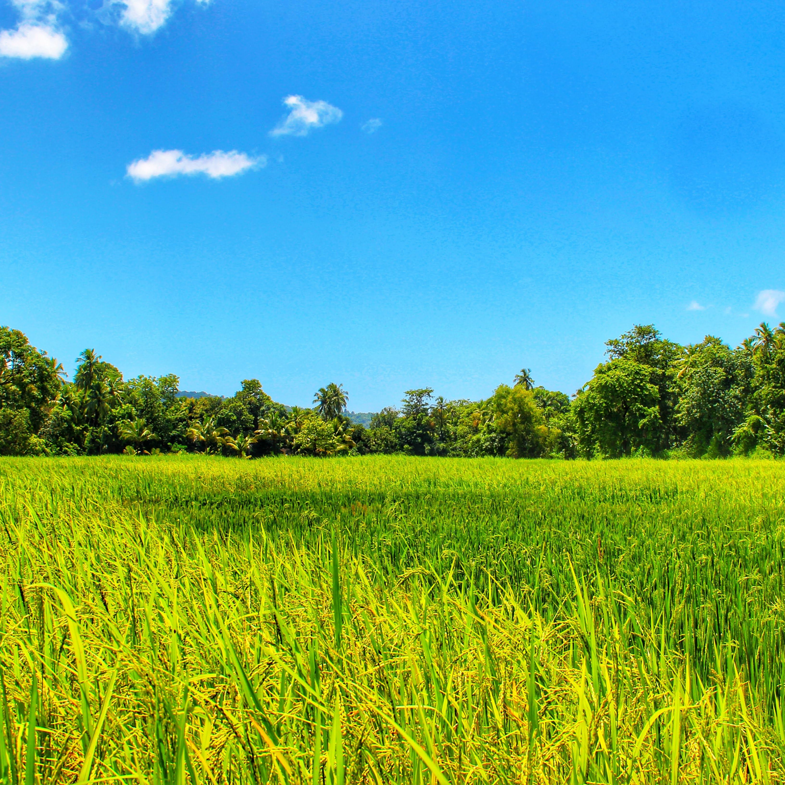 Konkan Maharashtra Wallpapers - Top Free Konkan Maharashtra Backgrounds ...