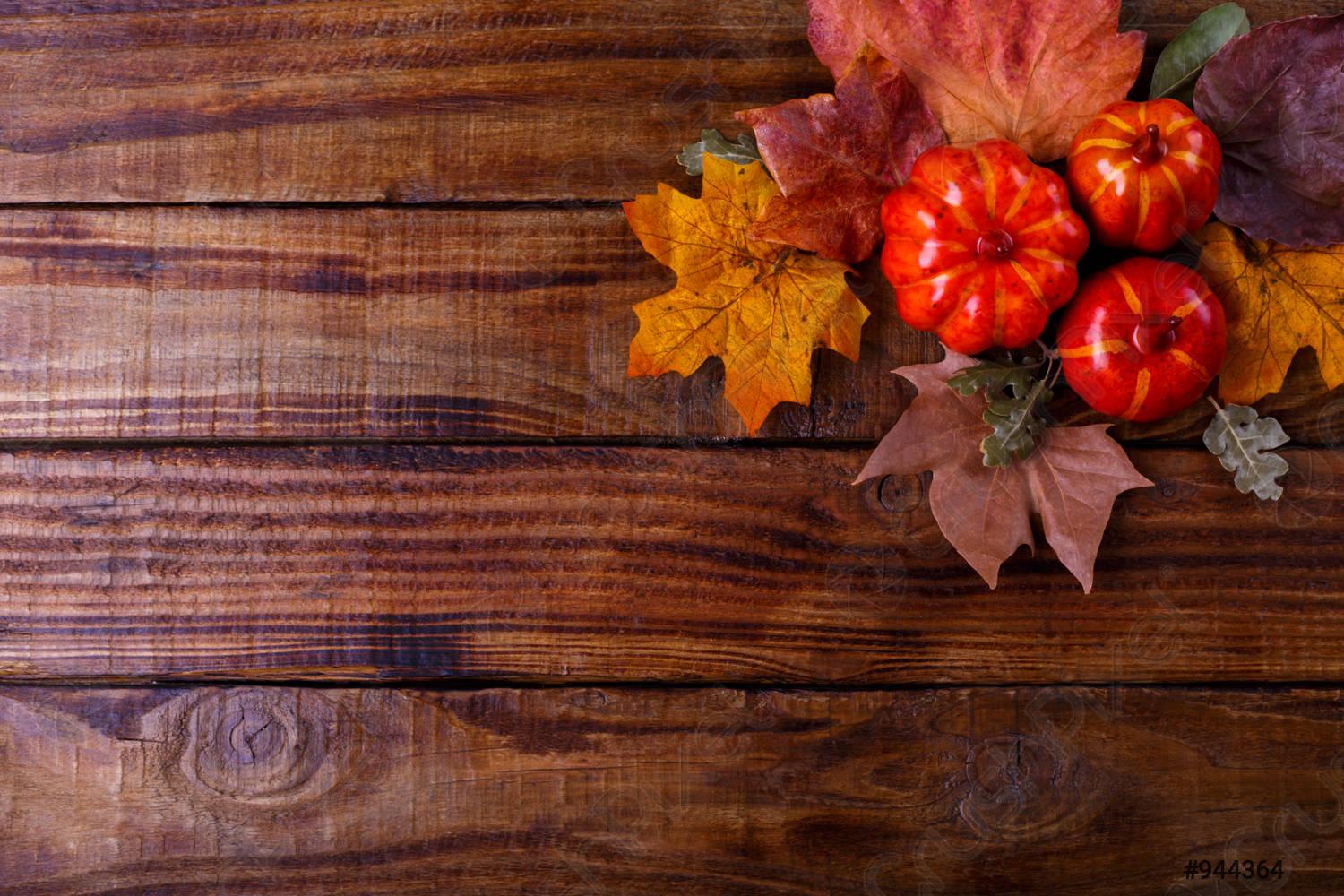 Autumn Decoration Wallpapers - Top Free Autumn Decoration Backgrounds ...