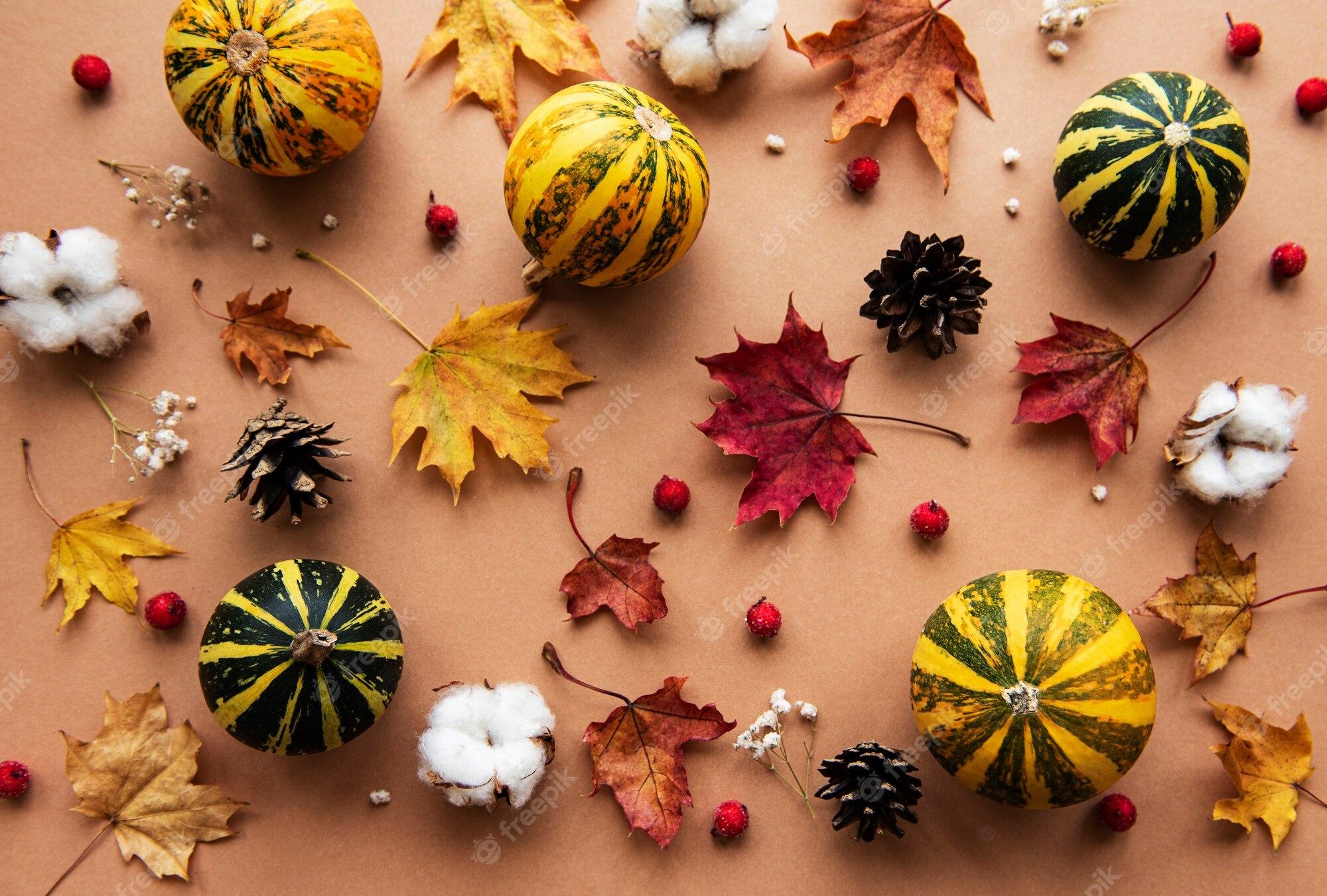 Autumn Decoration Wallpapers - Top Free Autumn Decoration Backgrounds ...