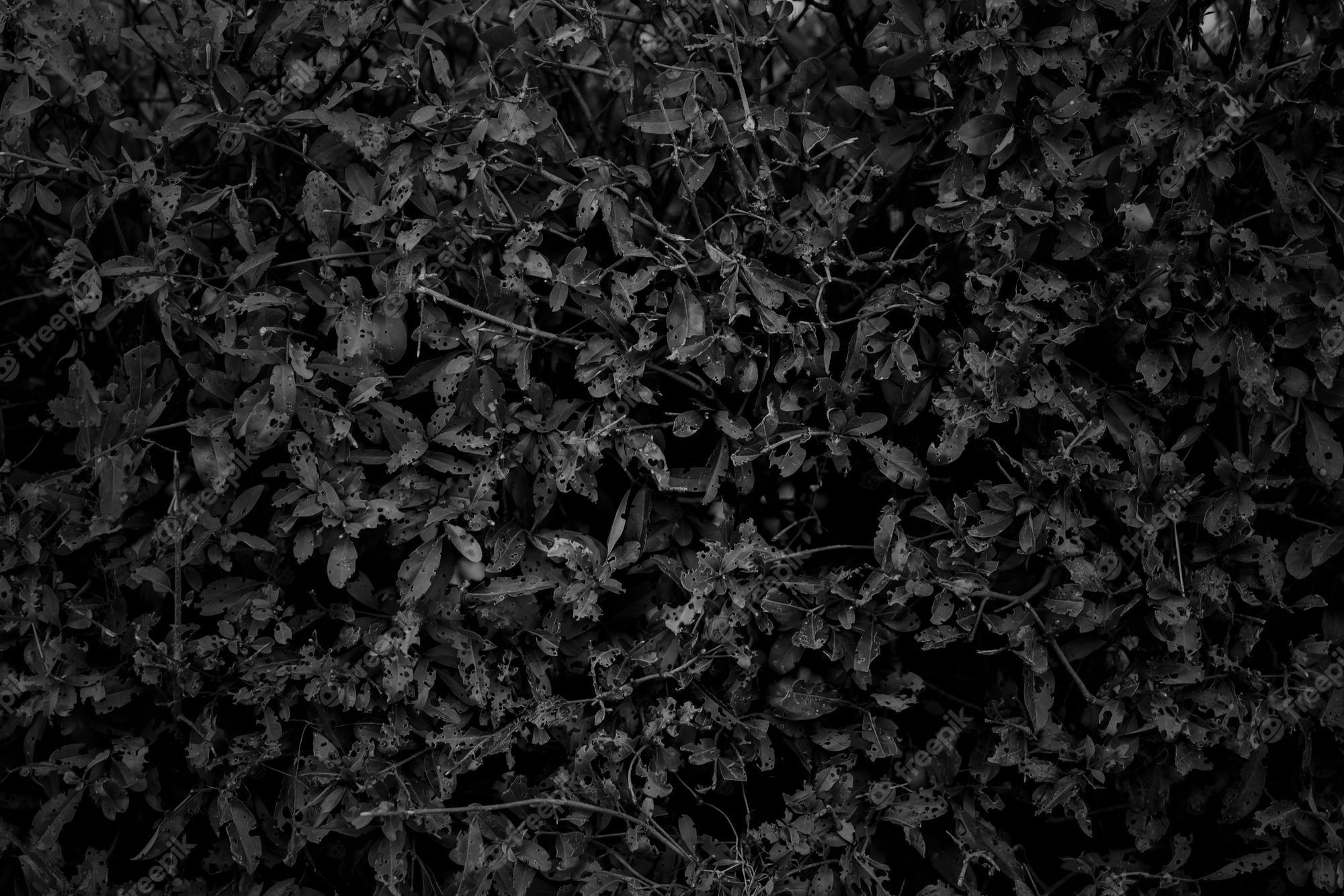 Forged Carbon Wallpapers - Top Free Forged Carbon Backgrounds ...