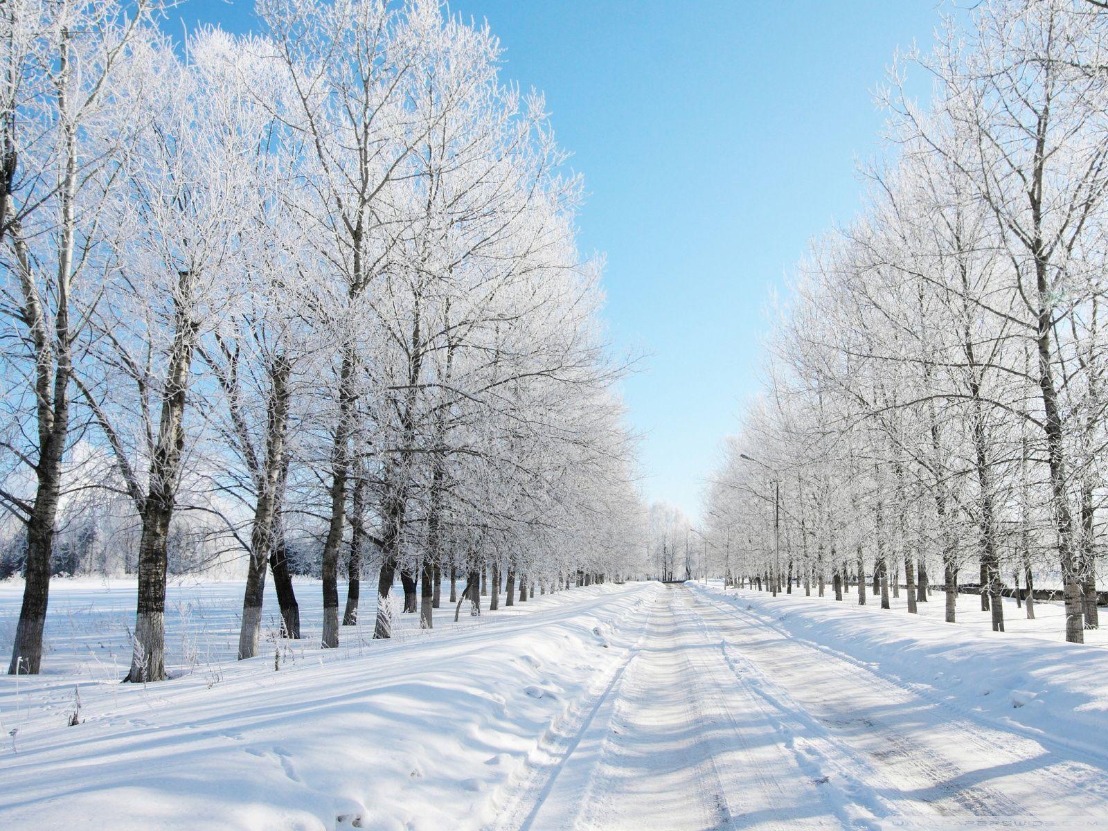 Beautiful Winter Desktop Wallpapers - Top Free Beautiful Winter Desktop ...