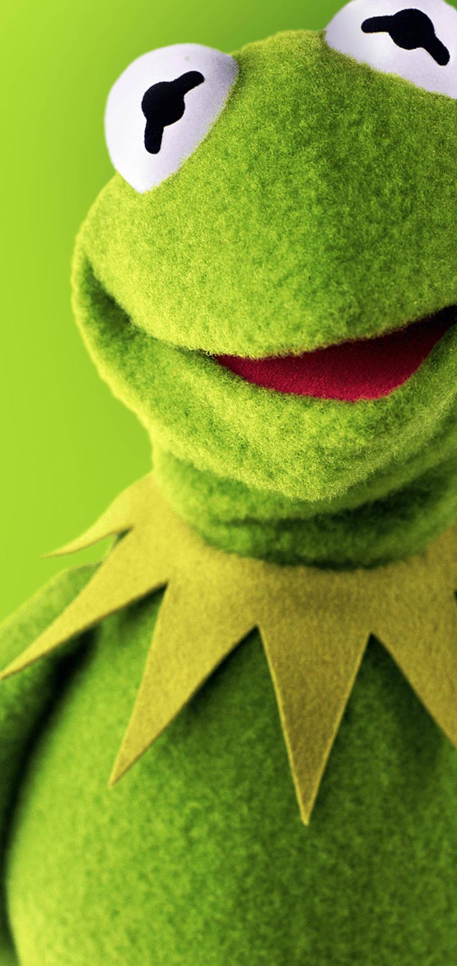 Kermit Meme Wallpapers - Top Free Kermit Meme Backgrounds - WallpaperAccess