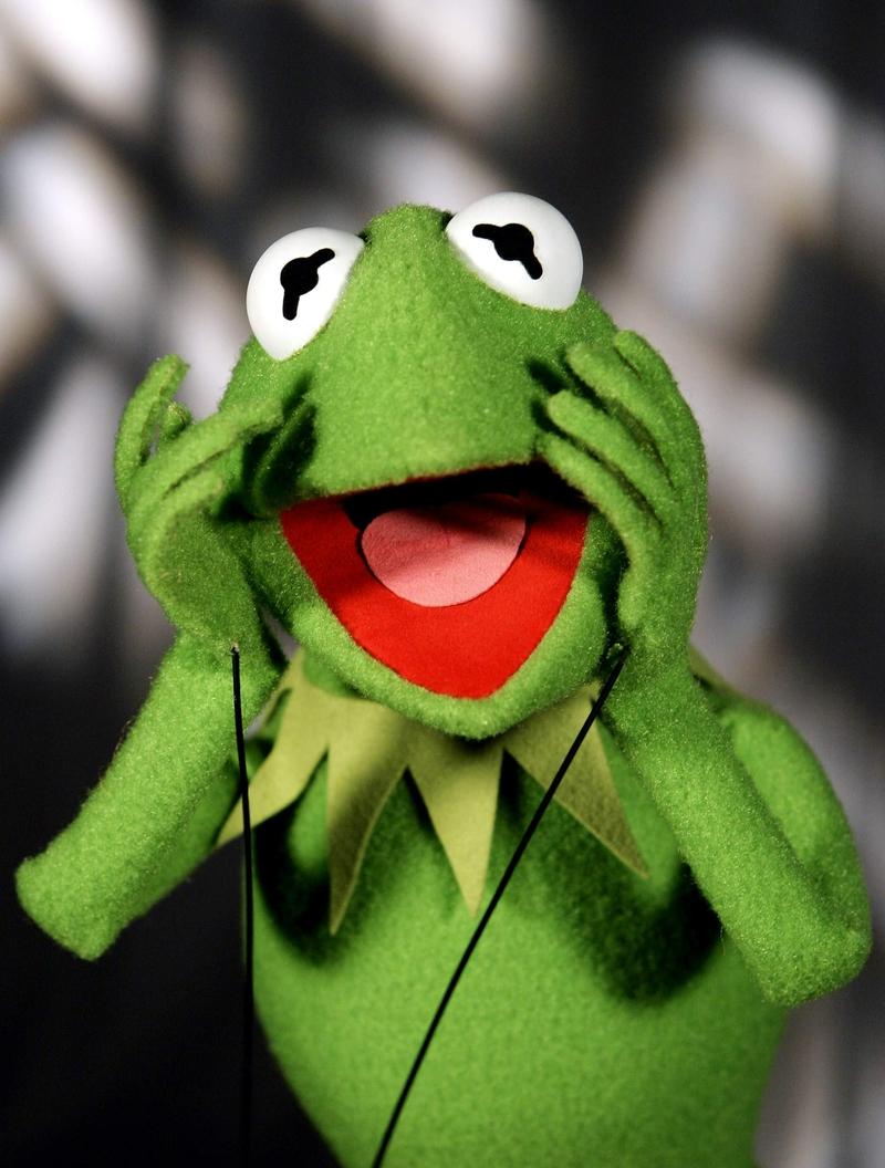 Kermit Meme Wallpapers - Top Free Kermit Meme Backgrounds - WallpaperAccess