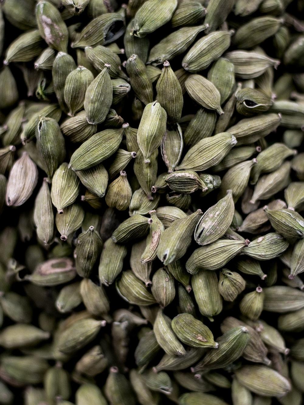 Cardamom Wallpapers - Top Free Cardamom Backgrounds - WallpaperAccess