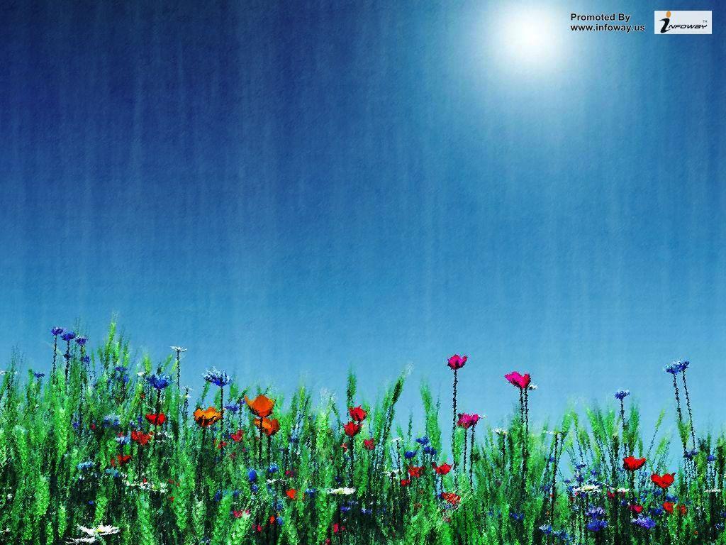 Flower Scenery Wallpapers - Top Free Flower Scenery Backgrounds ...