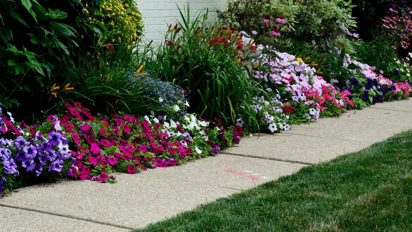 Scenic Flower Wallpapers - Top Free Scenic Flower Backgrounds ...