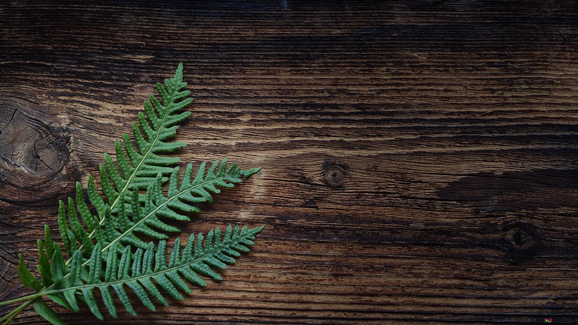 Tabletop Wallpapers - Top Free Tabletop Backgrounds - WallpaperAccess